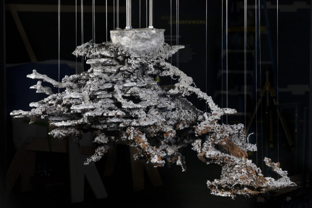 Ants did it first - Australian Geographic