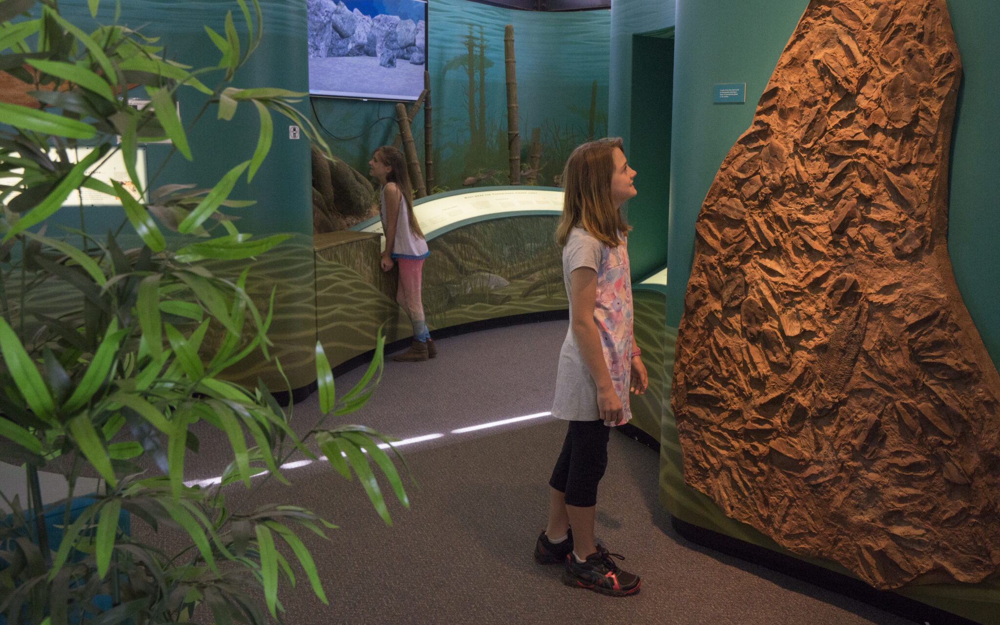 A complete guide to Canowindra, NSW - Australian Geographic