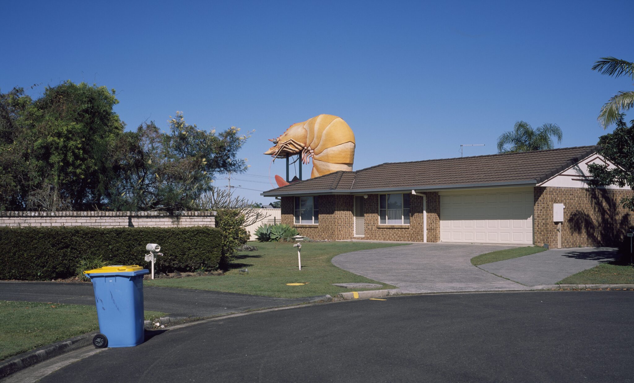 Aboriginal inventions: 10 enduring innovations - Australian Geographic