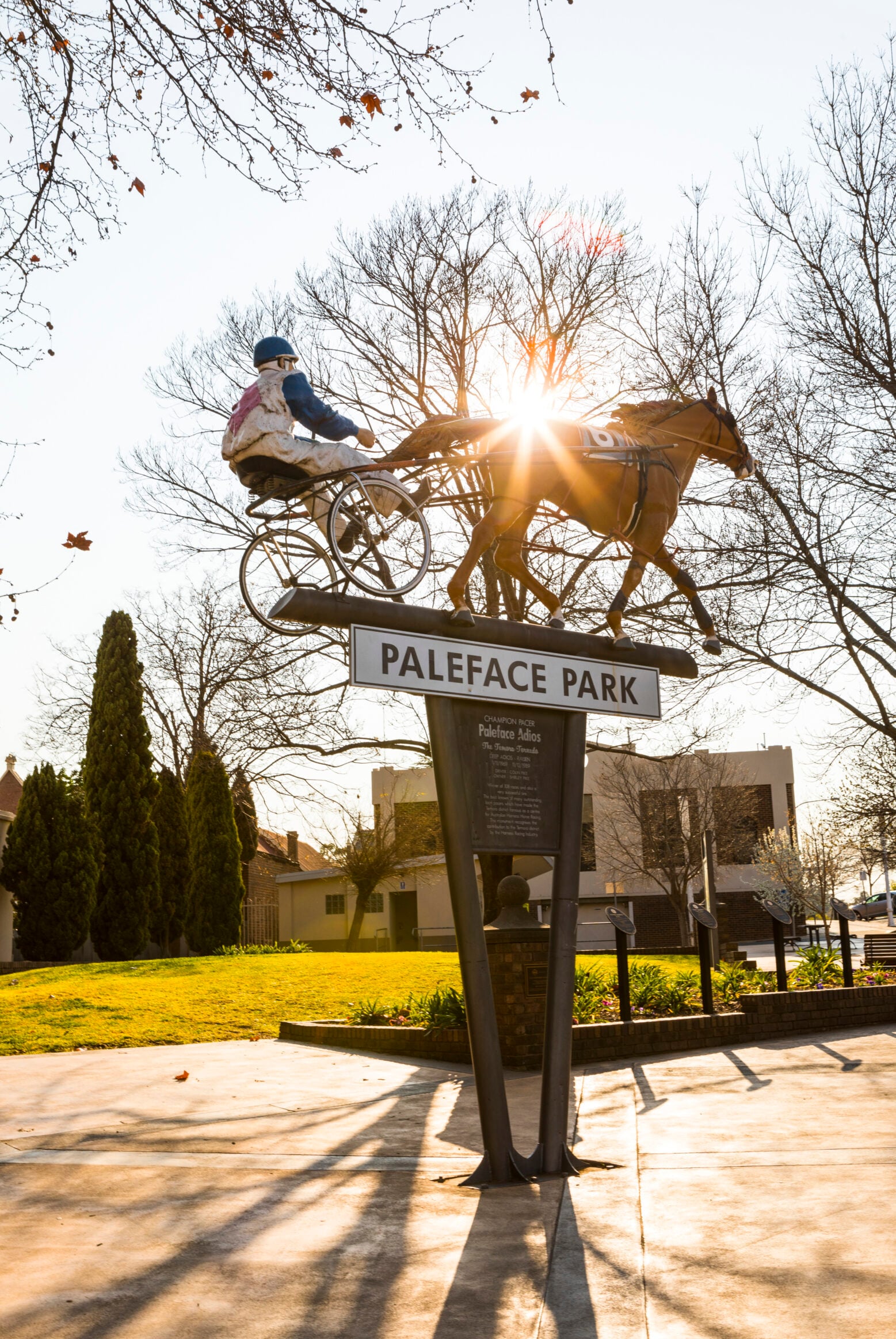 A complete guide to Temora, NSW- Australian Geographic