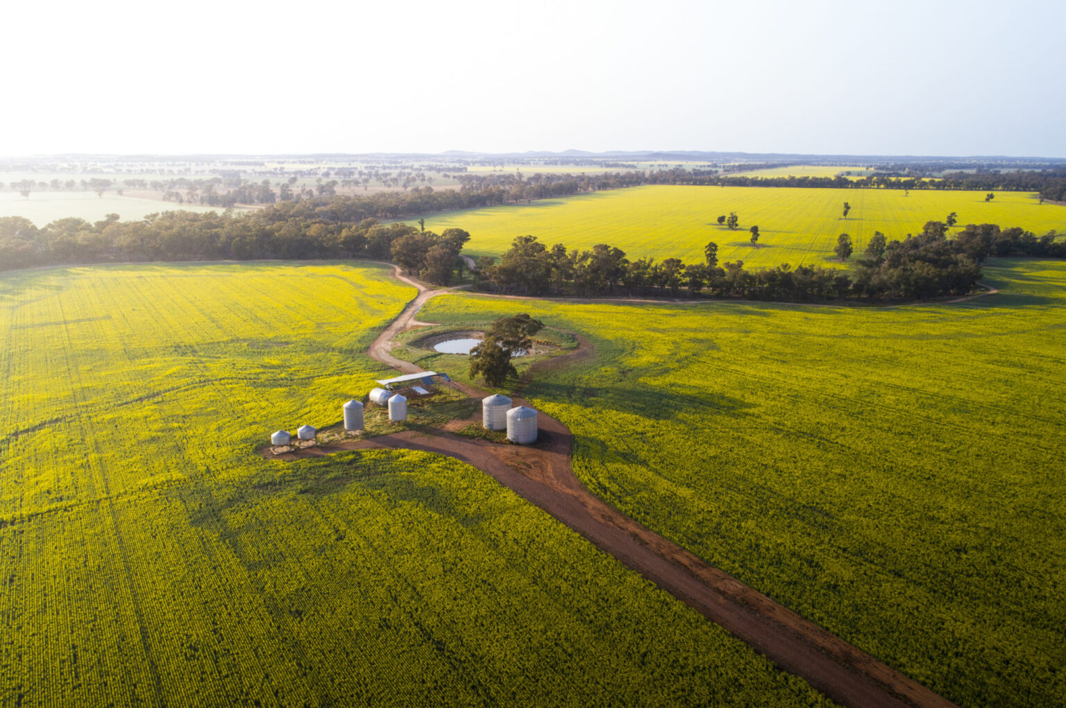 A complete guide to Temora, NSW- Australian Geographic