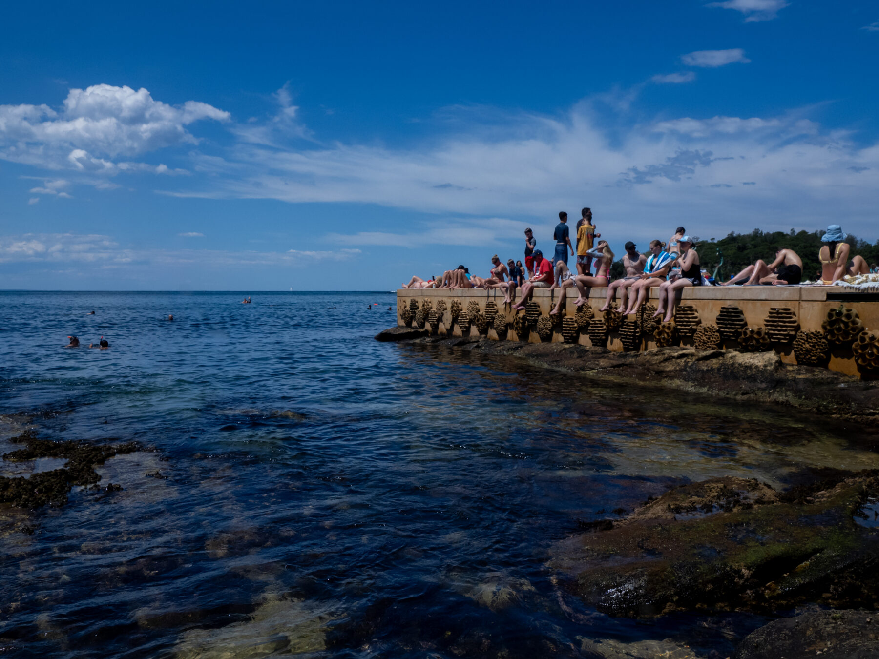New spaces for ocean life | AusGeo