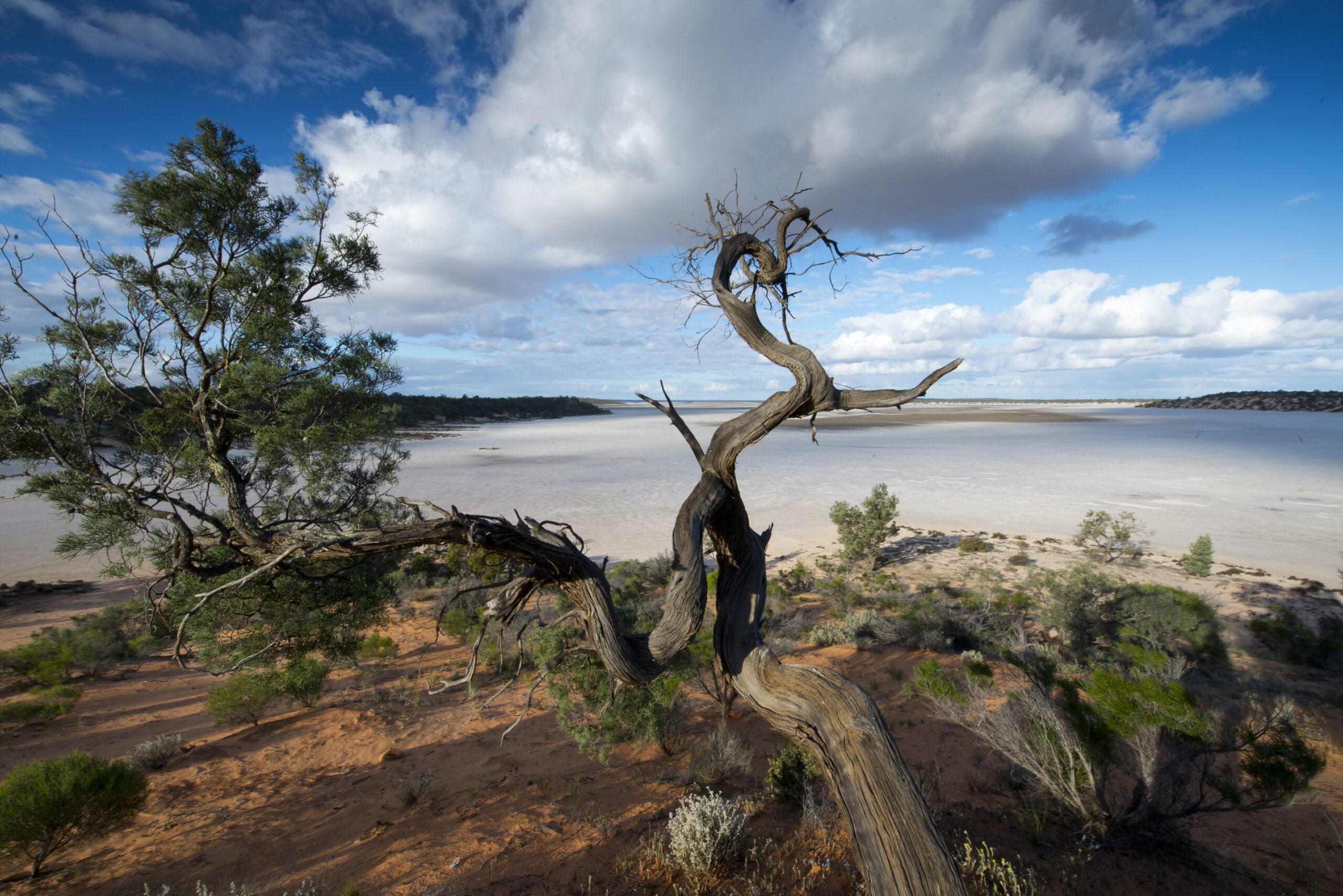Australian Geographic - Page 136 of 861 - It’s in our nature