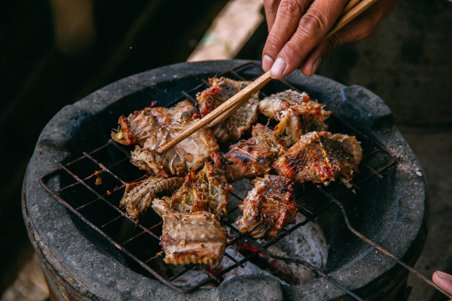 Pythons found to be highly-sustainable food source - Australian Geographic