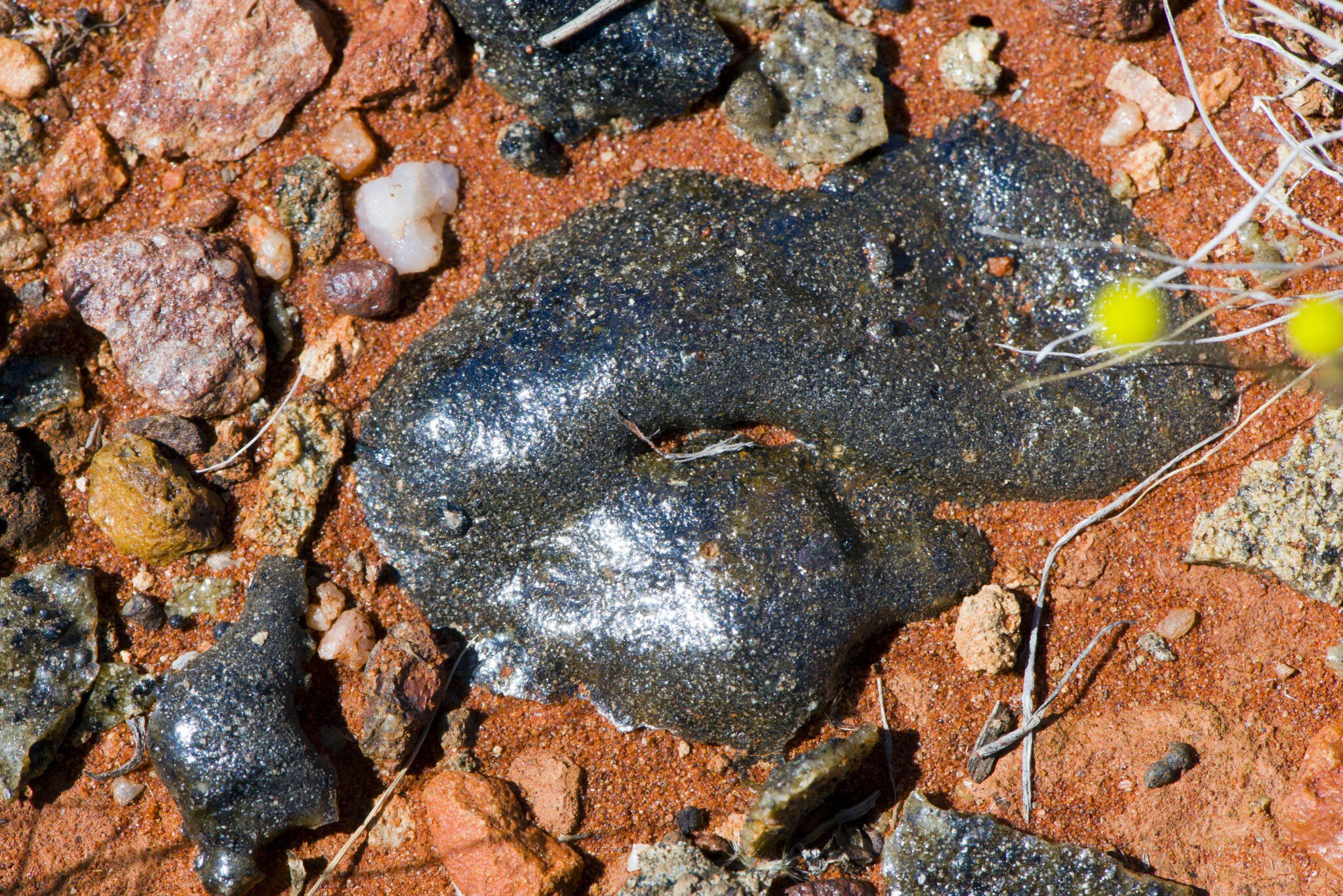 Maralinga: 'Field of thunder' - Australian Geographic