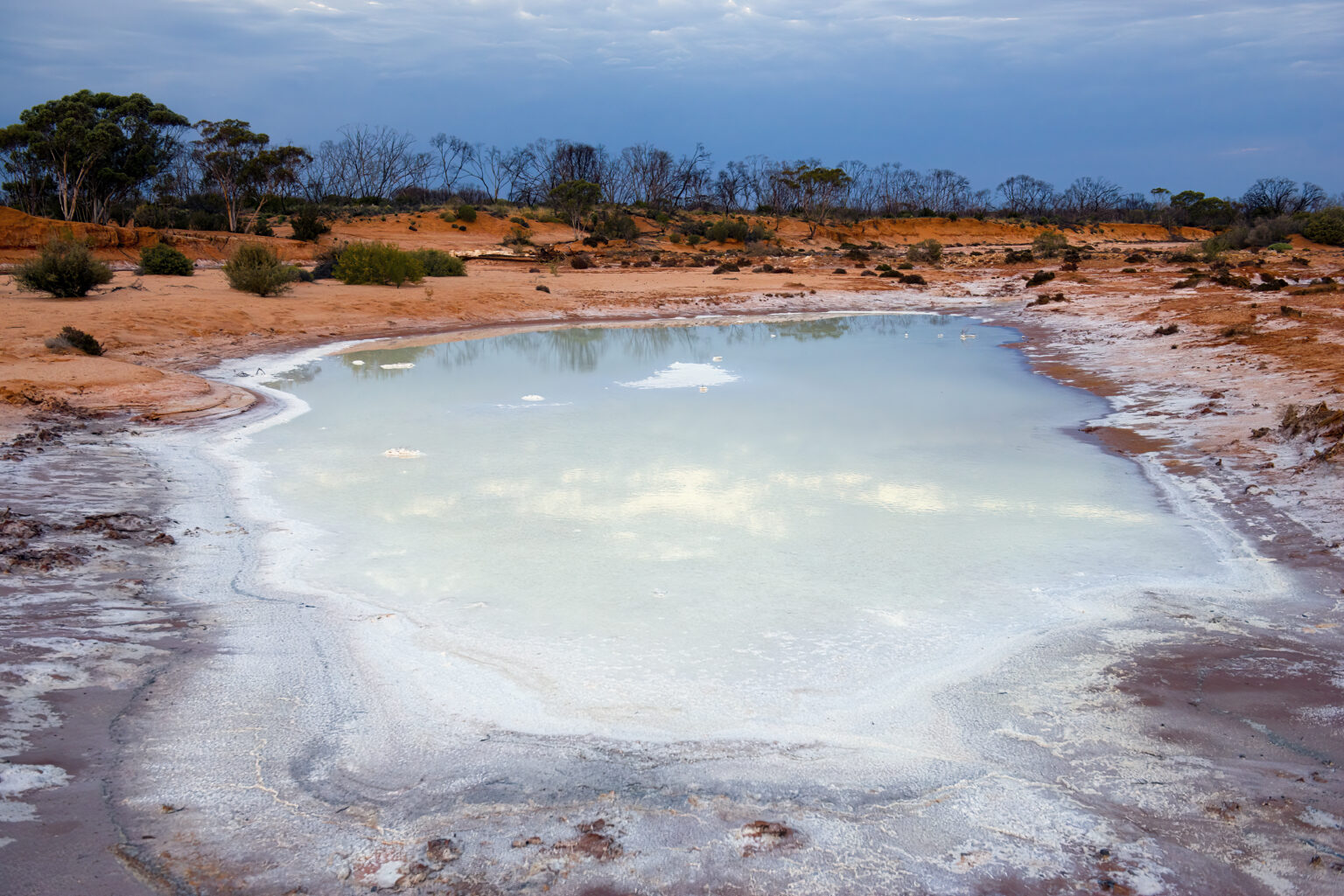 Desert delight - Australian Geographic