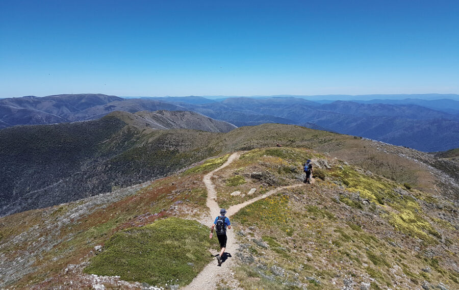 Five great walks in Victoria