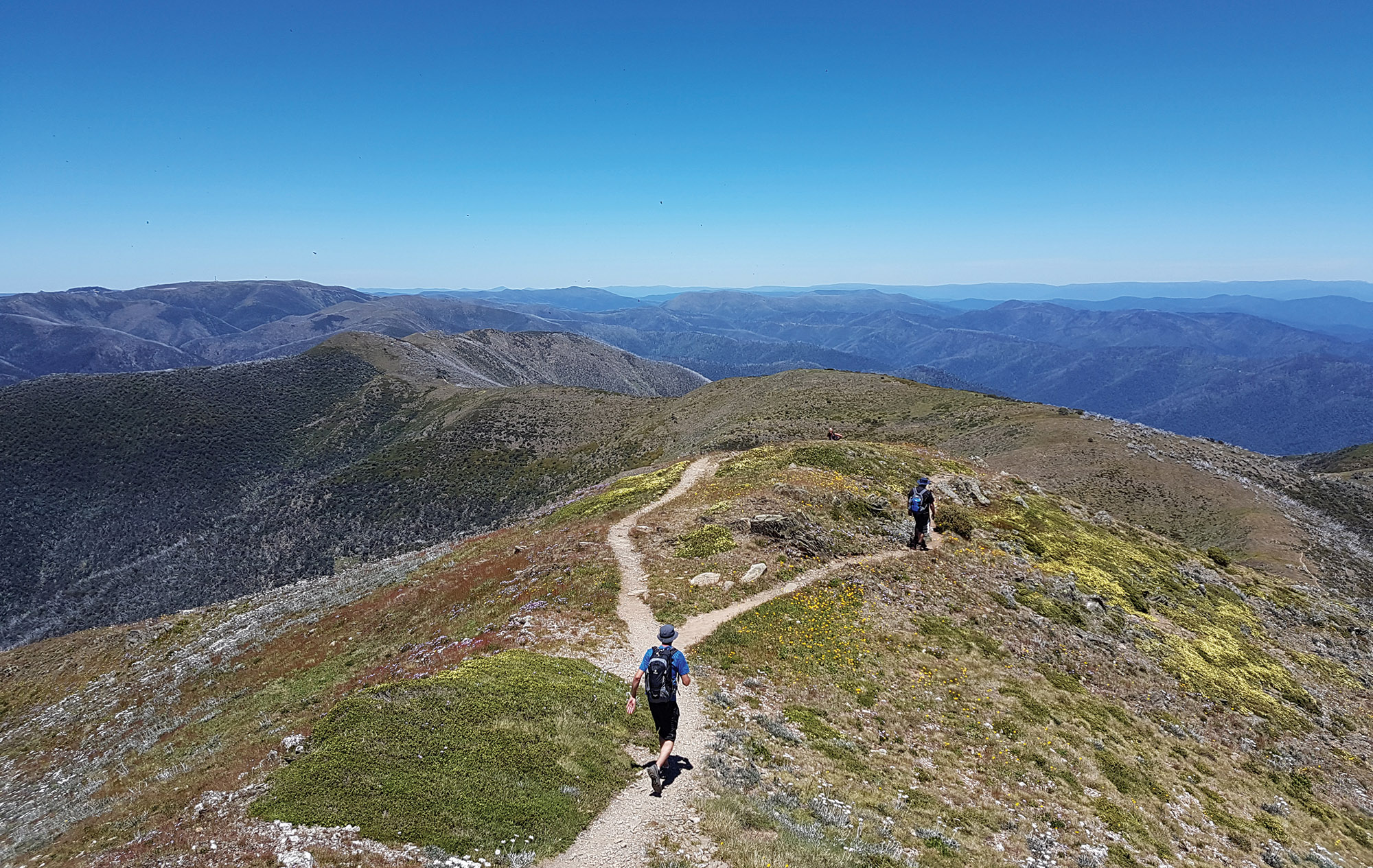 Five great walks in Victoria