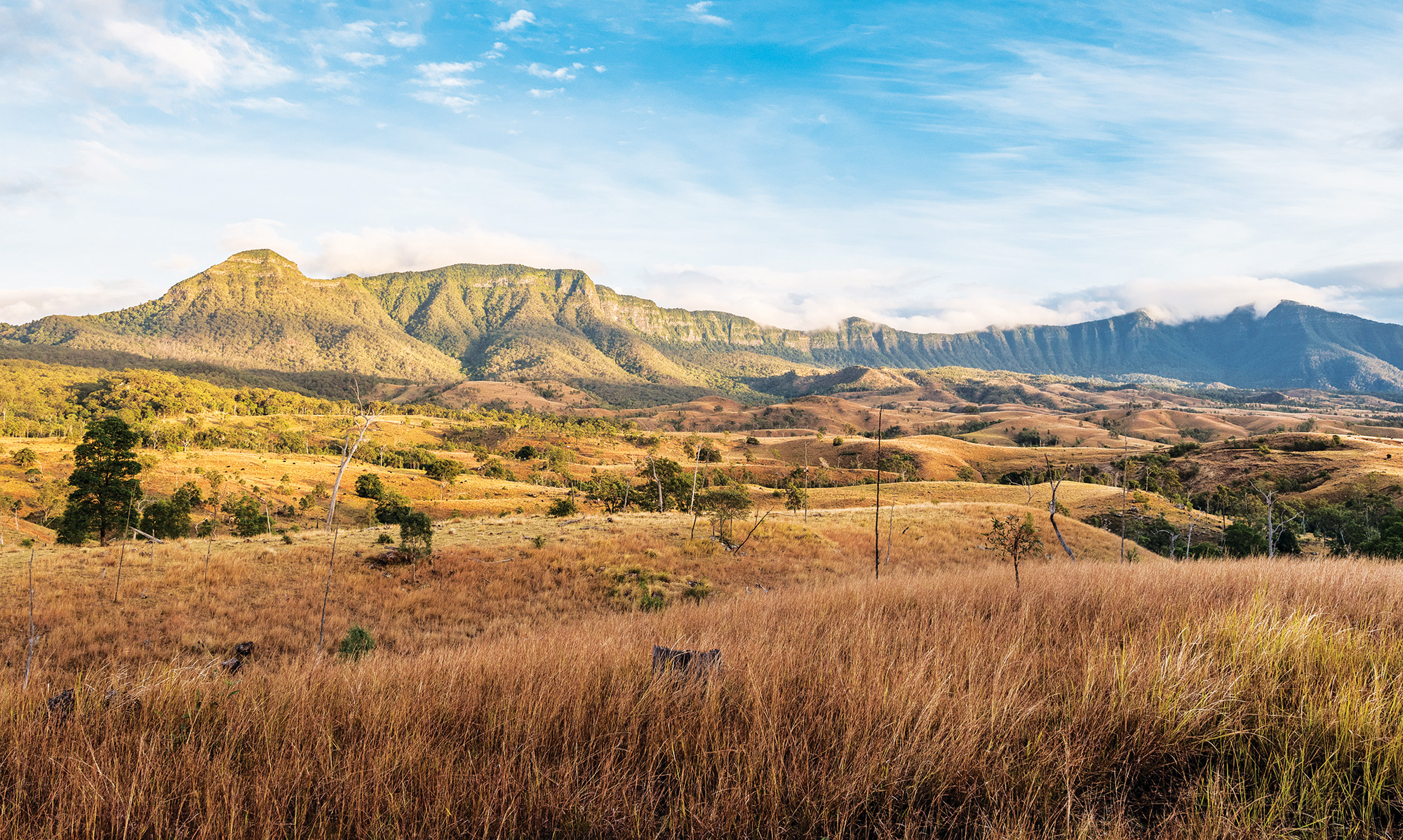Five great walks in Queensland