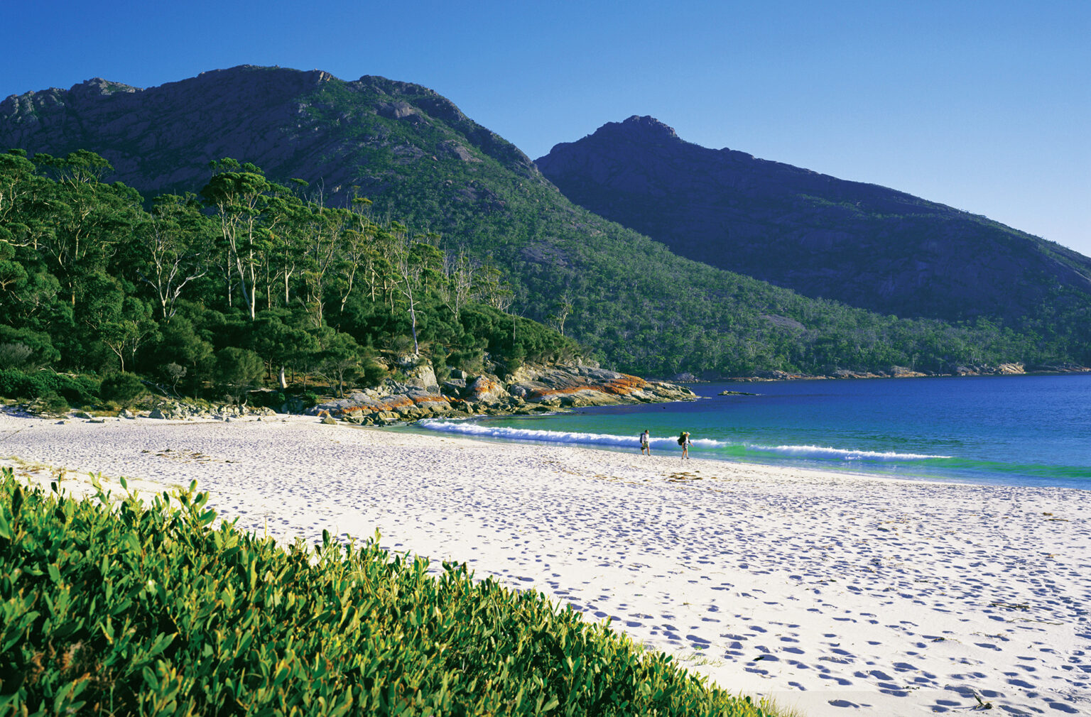 Five great walks in Tasmania - Australian Geographic