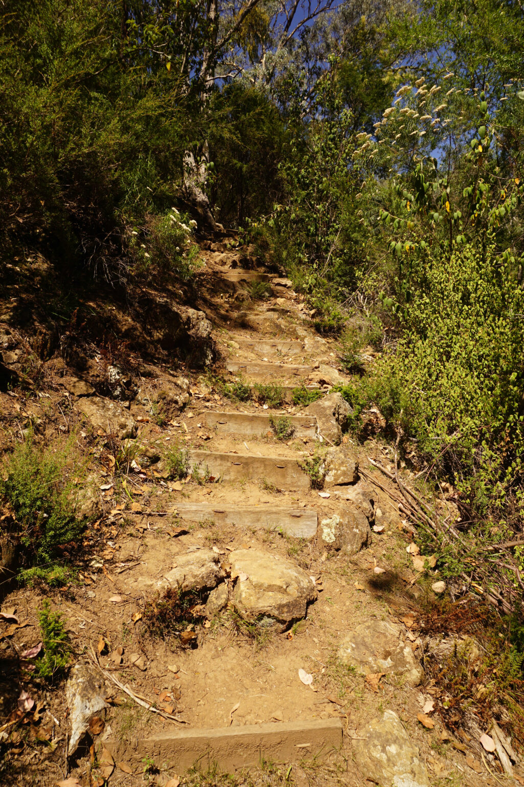 The best caves to explore in Australia - Australian Geographic