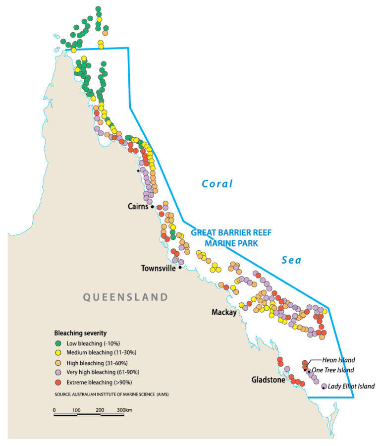 Scientists fight to save Great Barrier Reef following bleaching crisis ...