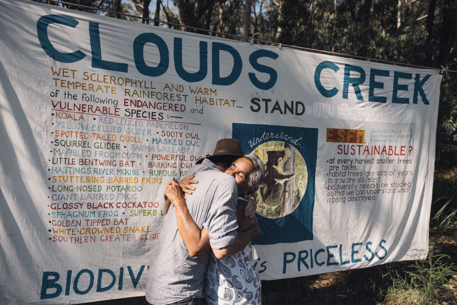 Clear-cutting koala country - Australian Geographic
