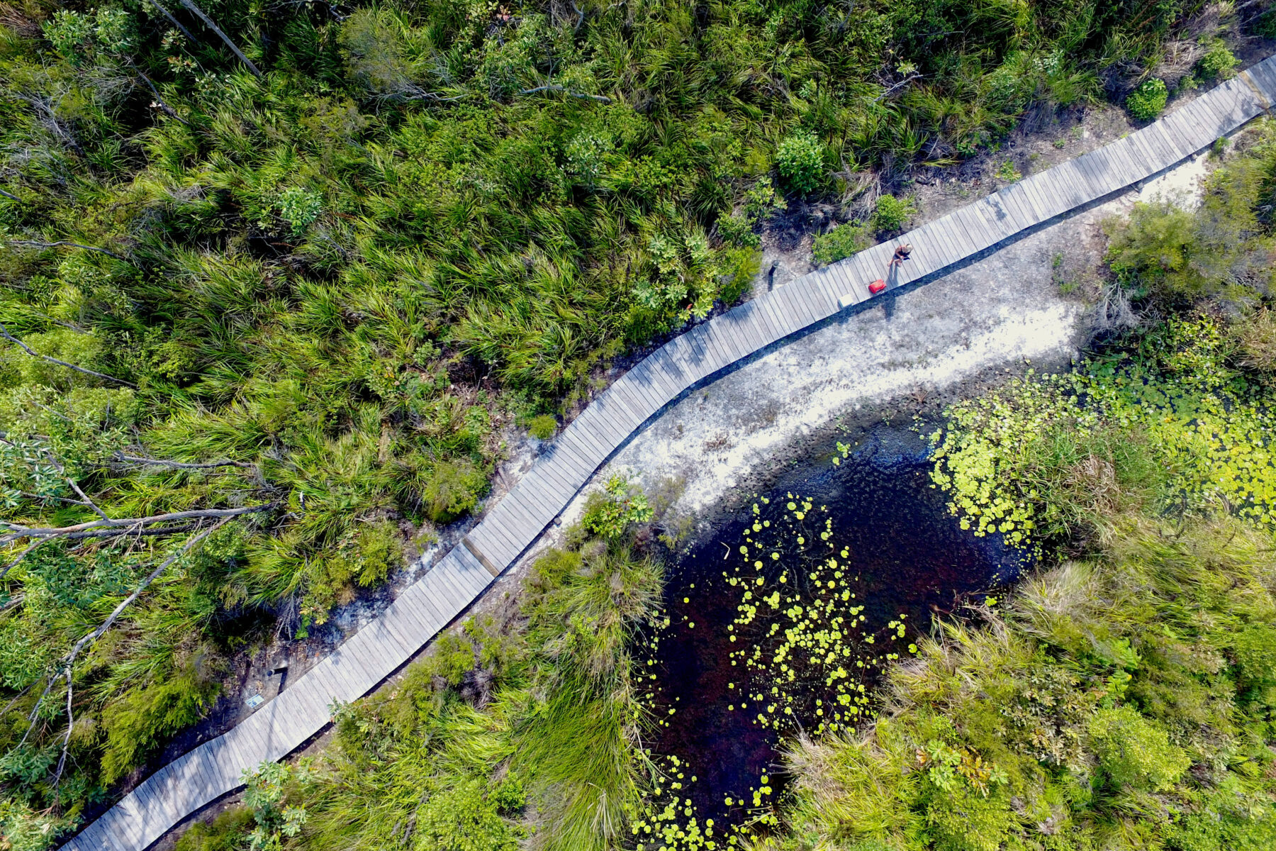 K'gari paradise: five ecosystems, one island - Australian Geographic