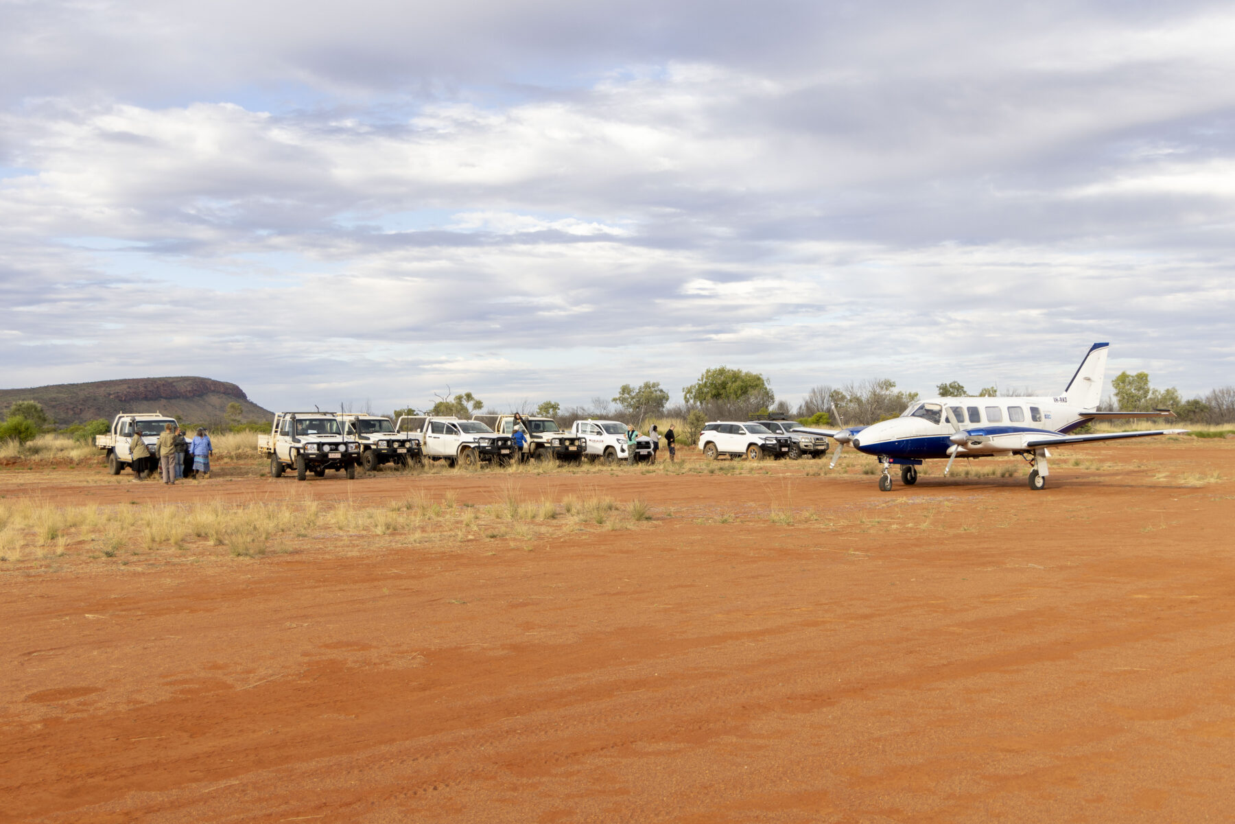 Possums welcomed back to Country in Red Centre- Australian Geographic