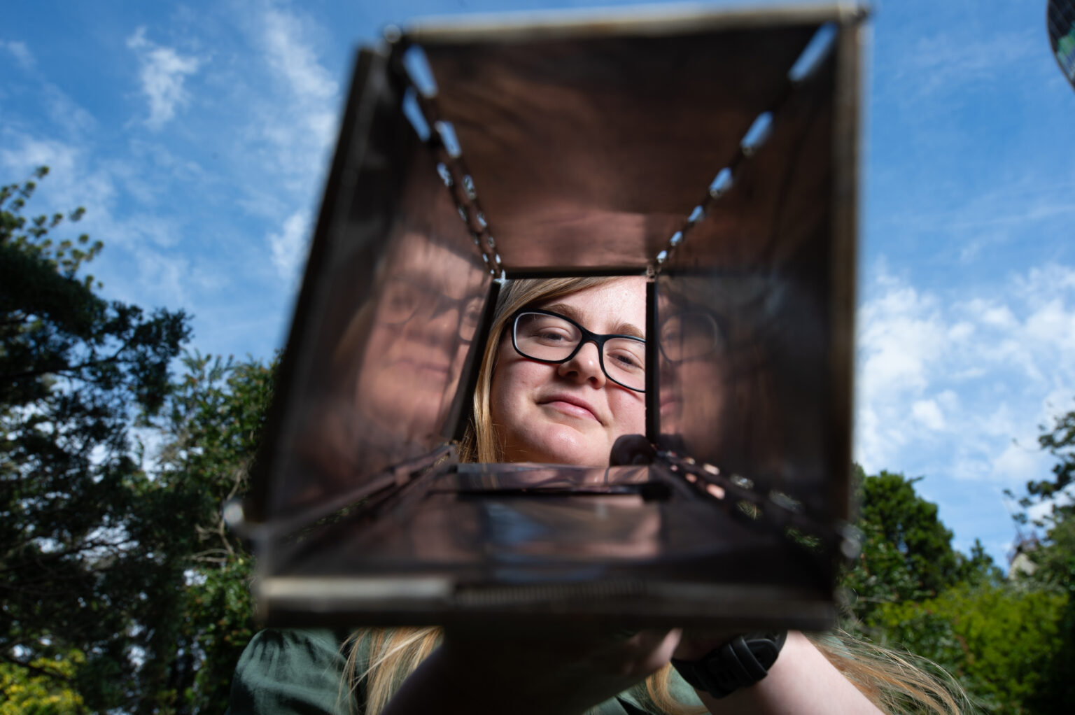 The race against time to save Julia Creek dunnarts - Australian Geographic