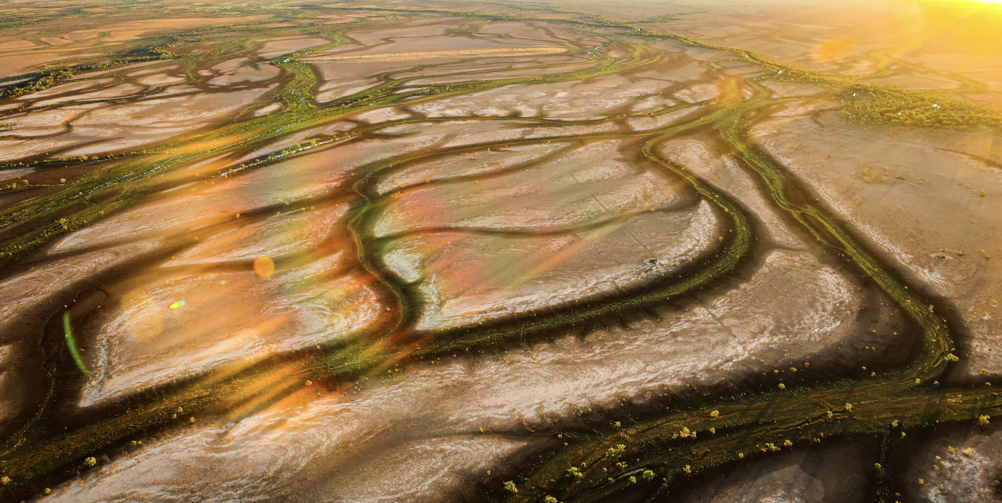 Channel Country's braided beauty - Australian Geographic