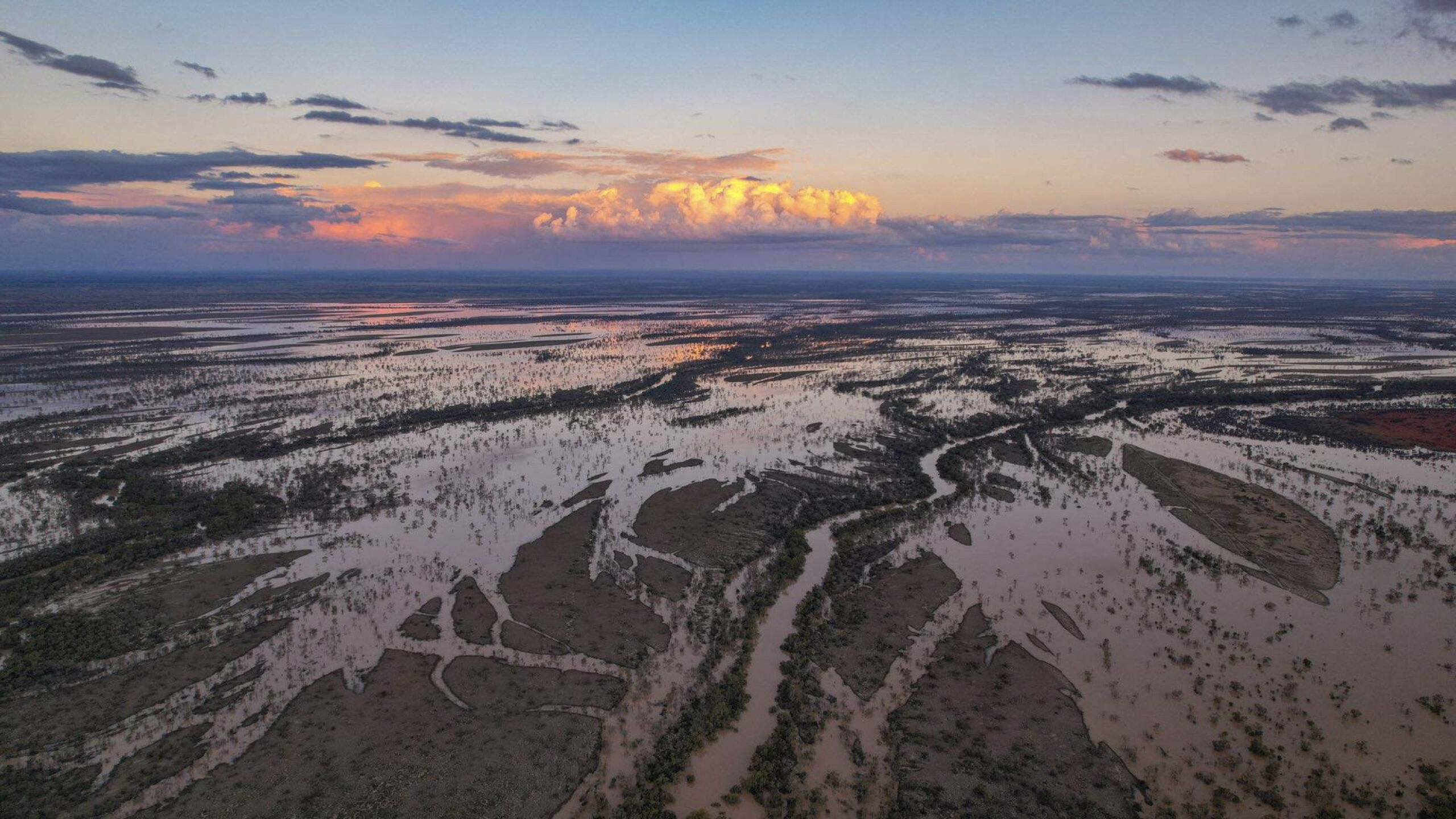 Channel Country's braided beauty - Australian Geographic