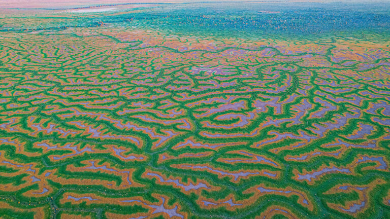 Channel Country's braided beauty - Australian Geographic