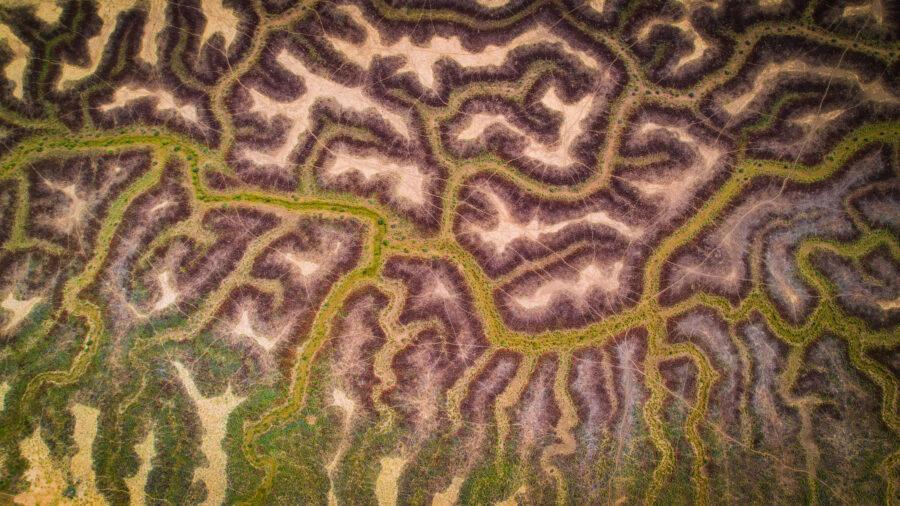 Channel Country's braided beauty - Australian Geographic