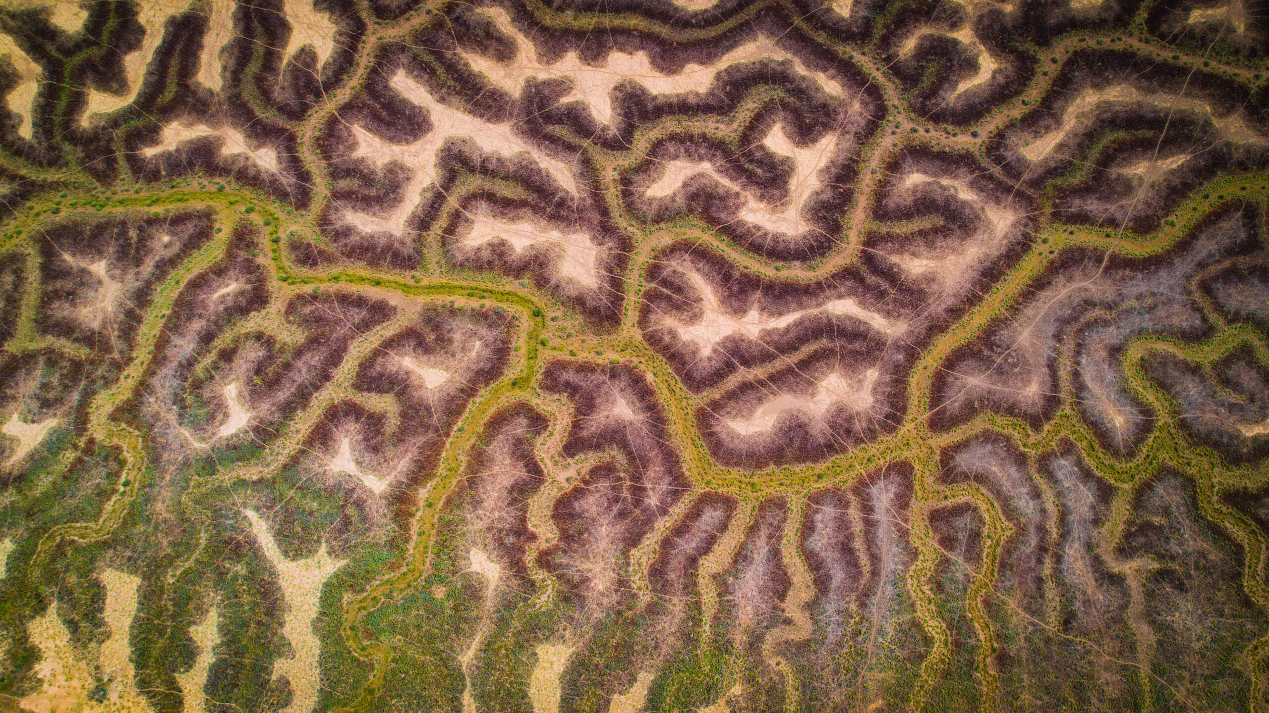 Channel Country's braided beauty - Australian Geographic
