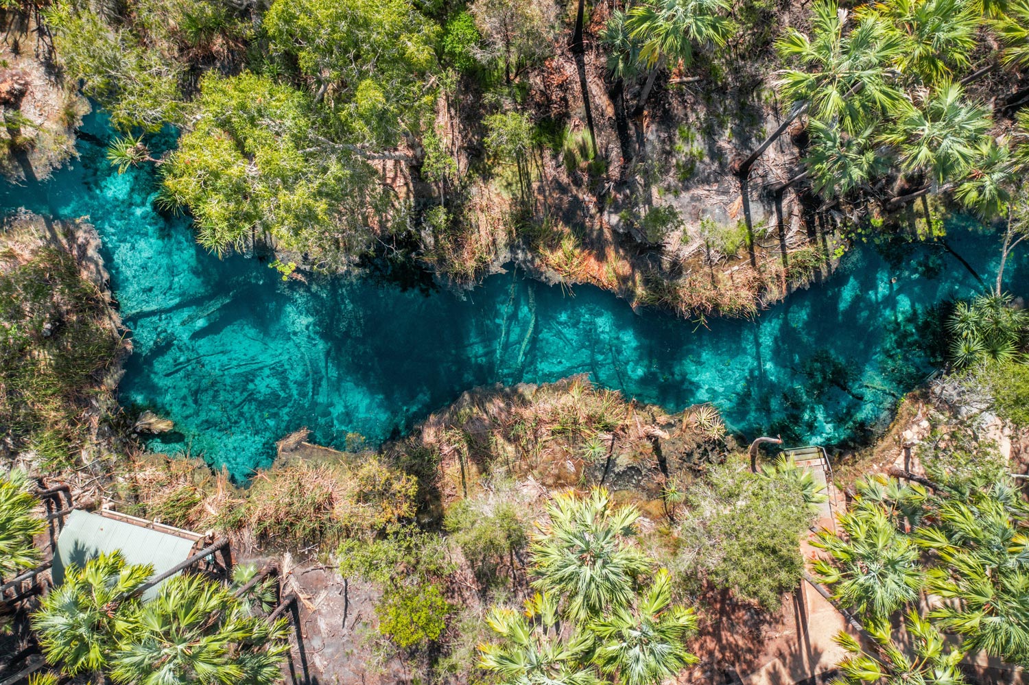 A complete guide to Mataranka, NT - Australian Geographic
