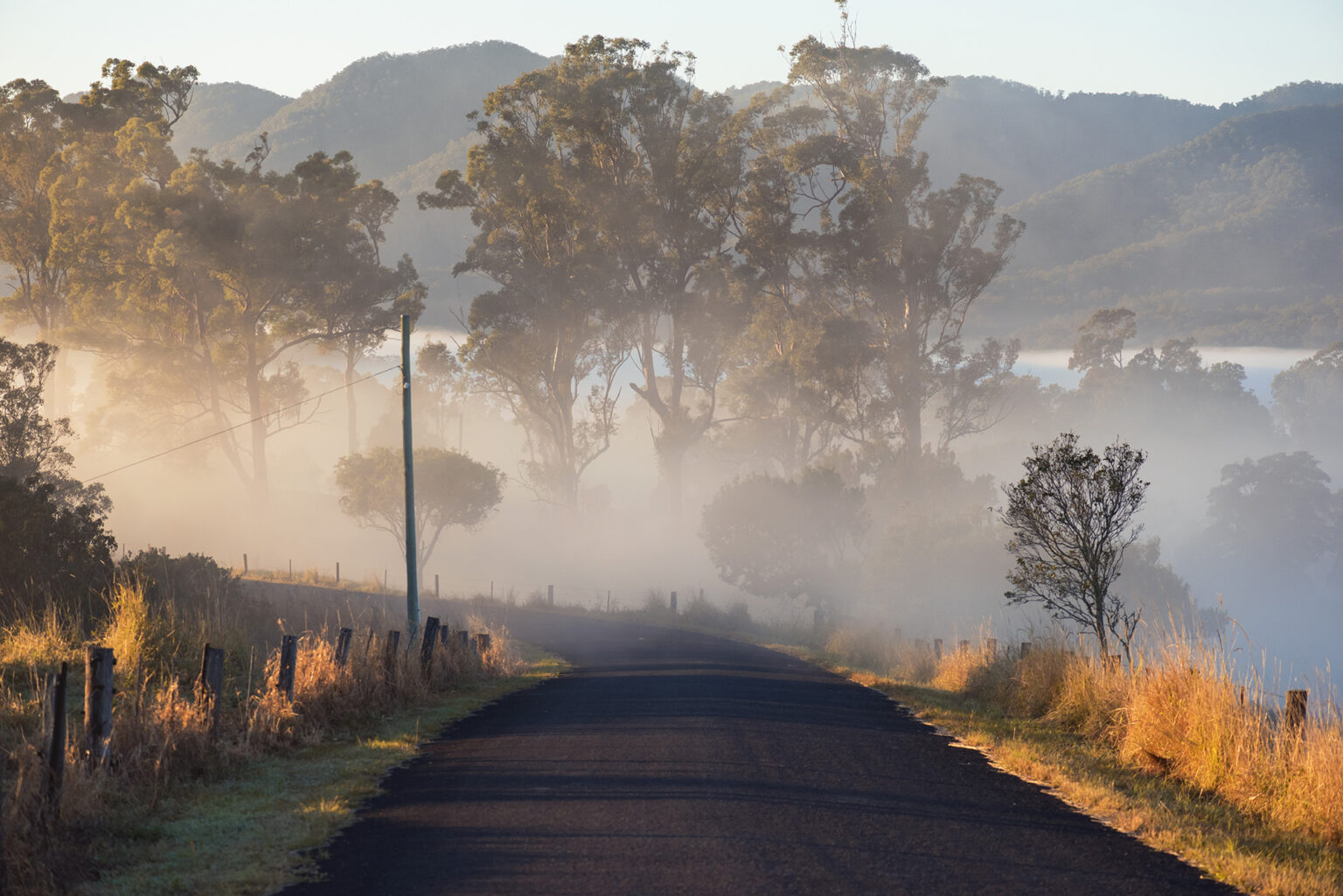 A farm-sized serve of adventure: Exploring the Tweed region, NSW