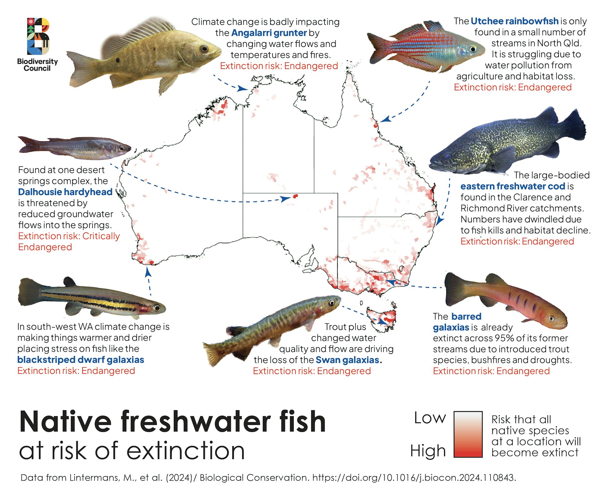 Troubled waters: Australia's freshwater fish are facing extinction ...