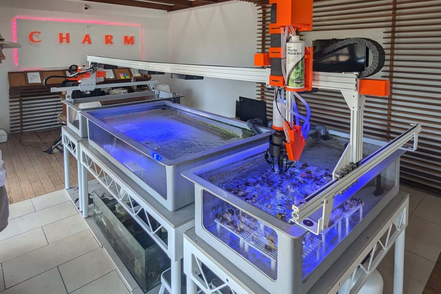 A helping (robotic) hand for coral - Australian Geographic