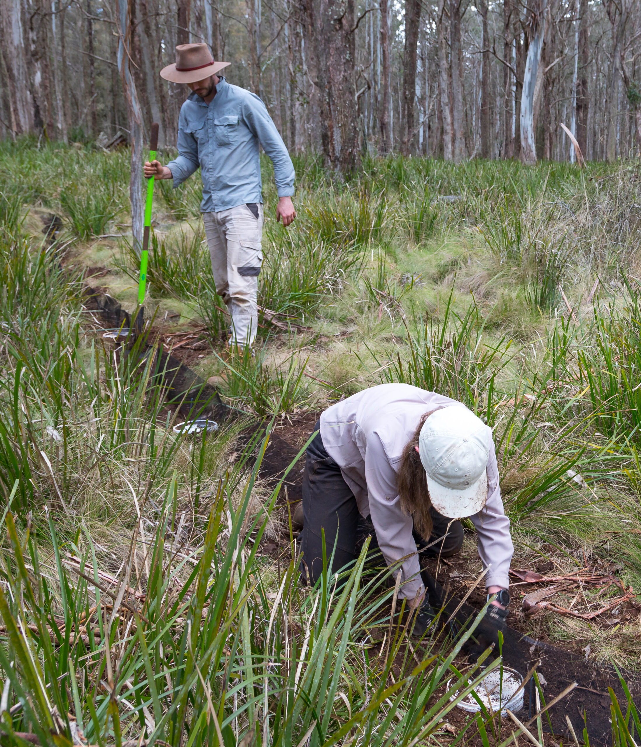 The desperate search for a little skink on the brink of extinction ...