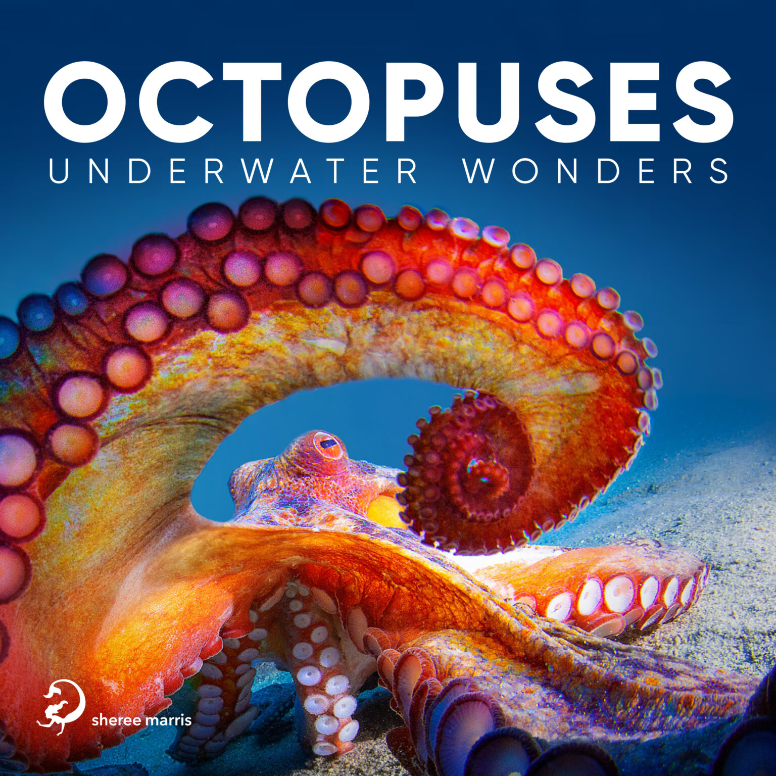 Octopus intelligence - Australian Geographic