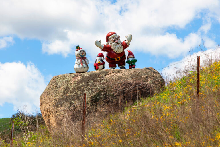 A very Aussie Christmas - Australian Geographic