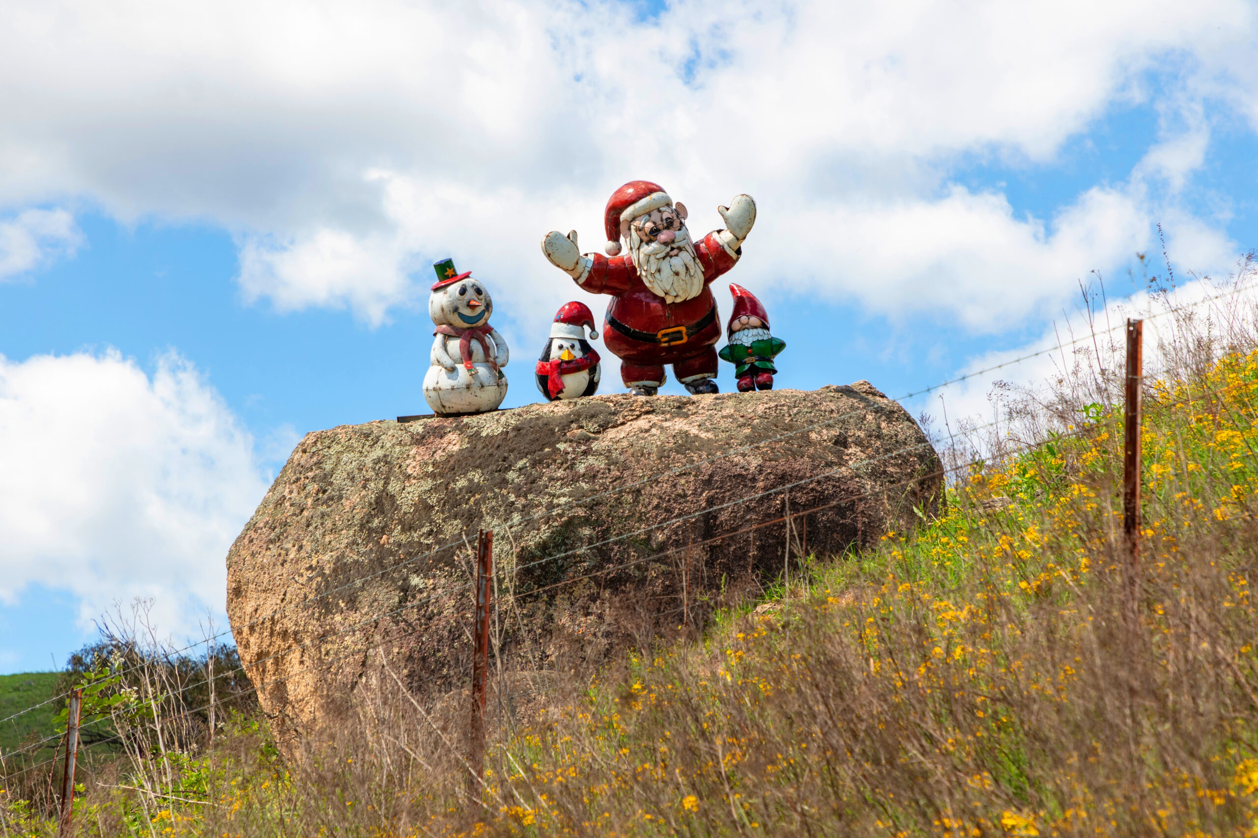 A very Aussie Christmas - Australian Geographic