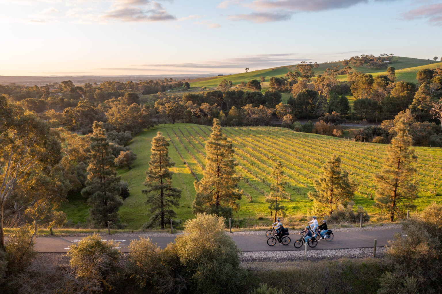 A complete guide to Angaston, SA - Australian Geographic