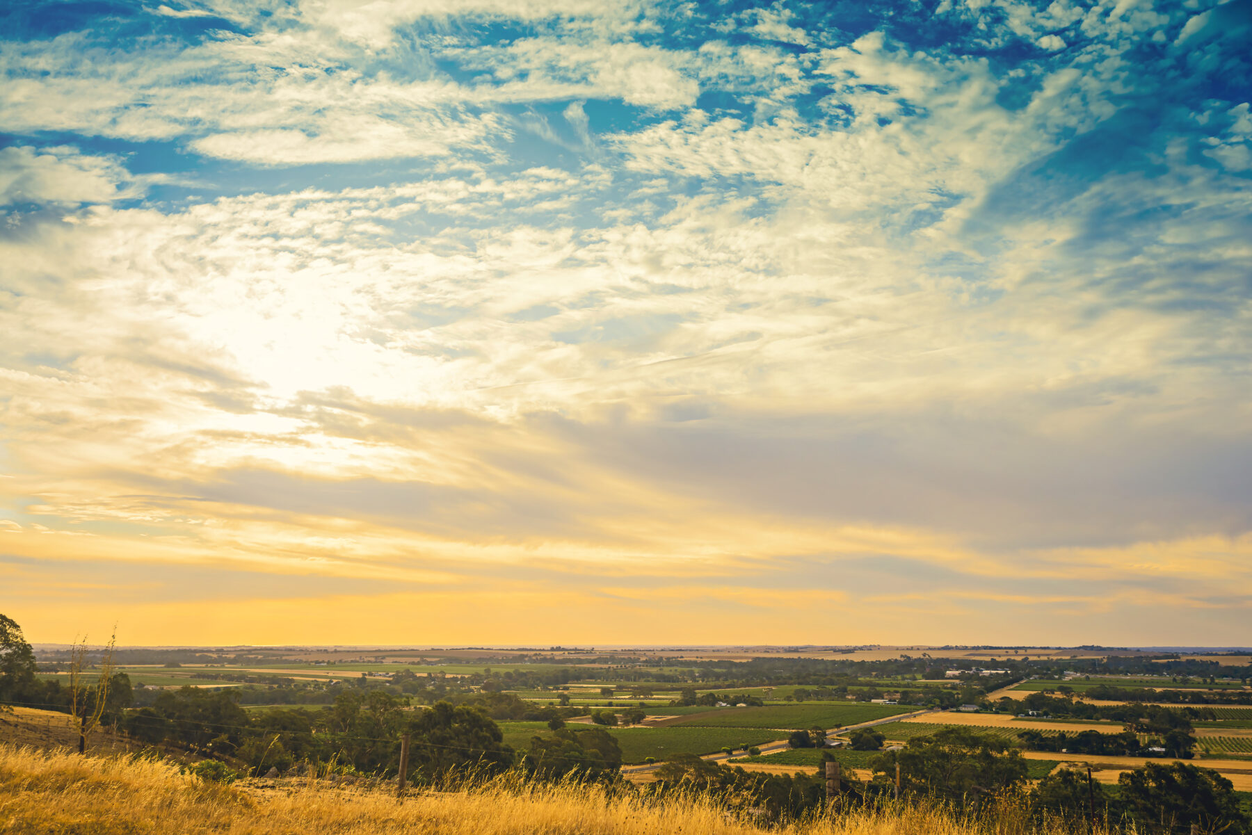 A complete guide to Angaston, SA - Australian Geographic