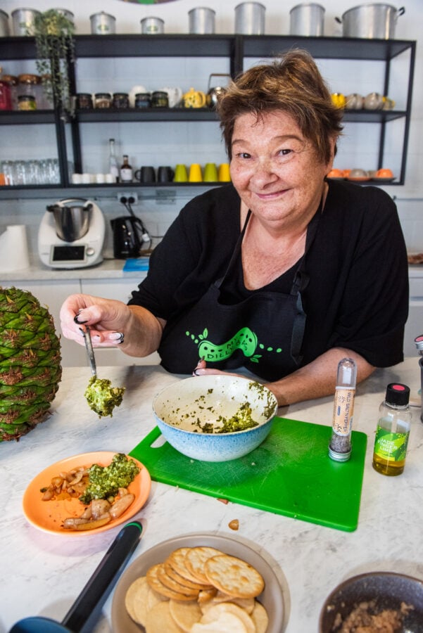 Bunya nut boom - Australian Geographic