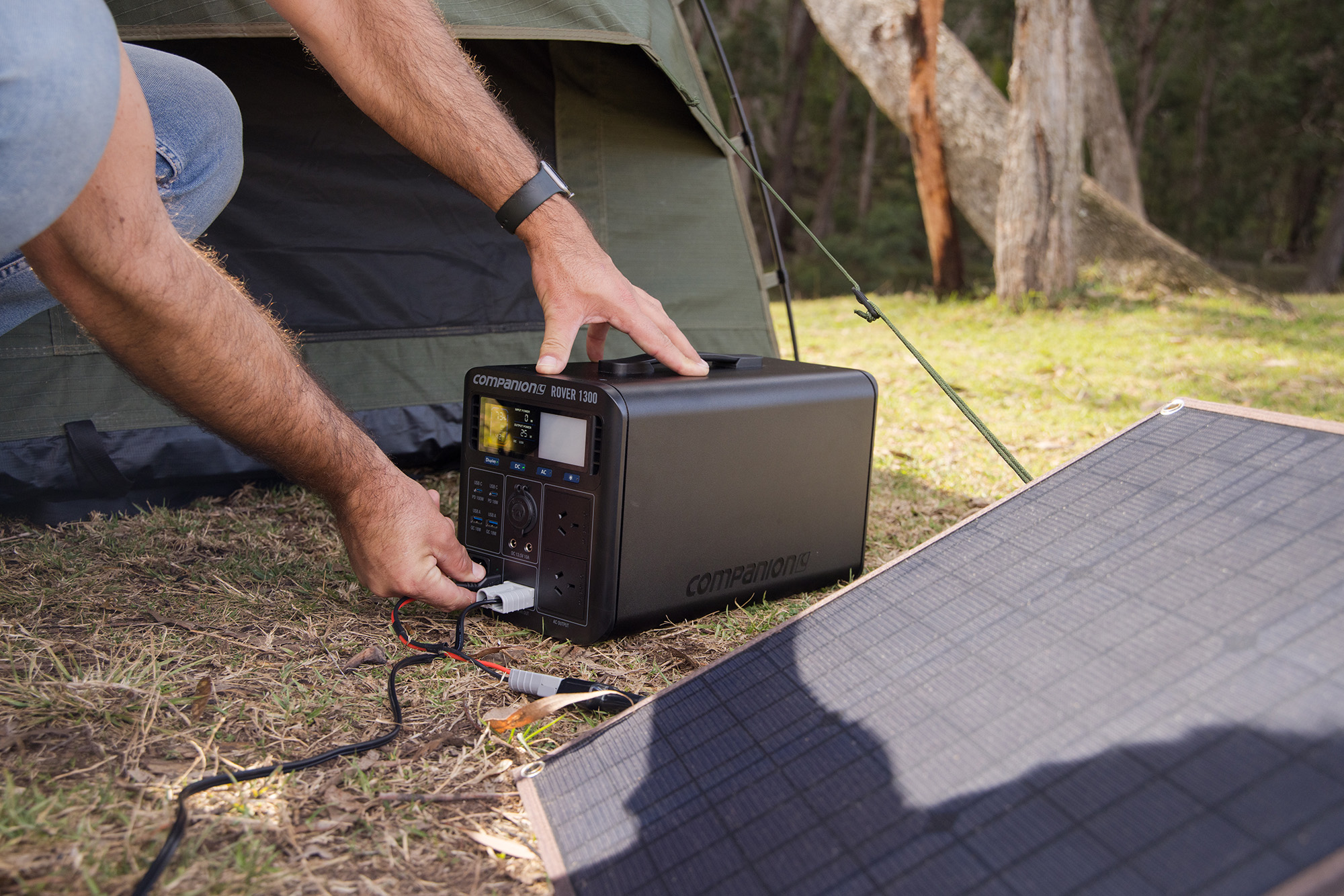 Companion charges up portable power
