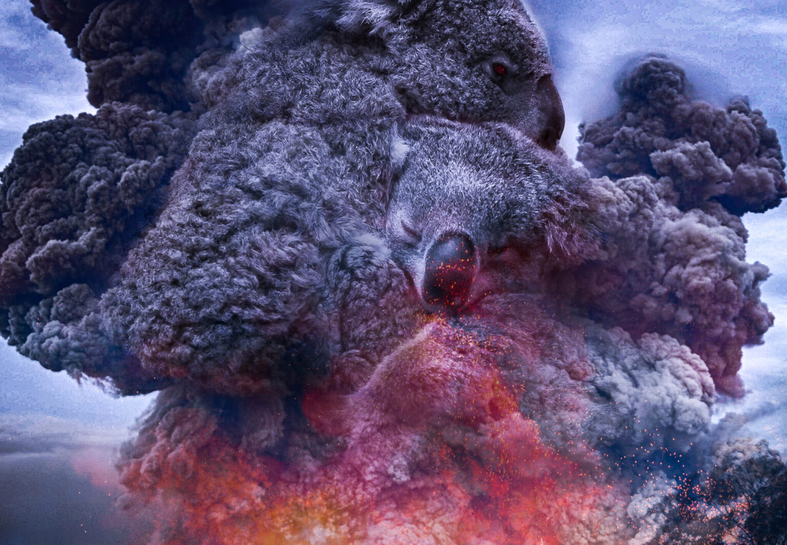 Wild Australia: After The Fires - Australian Geographic