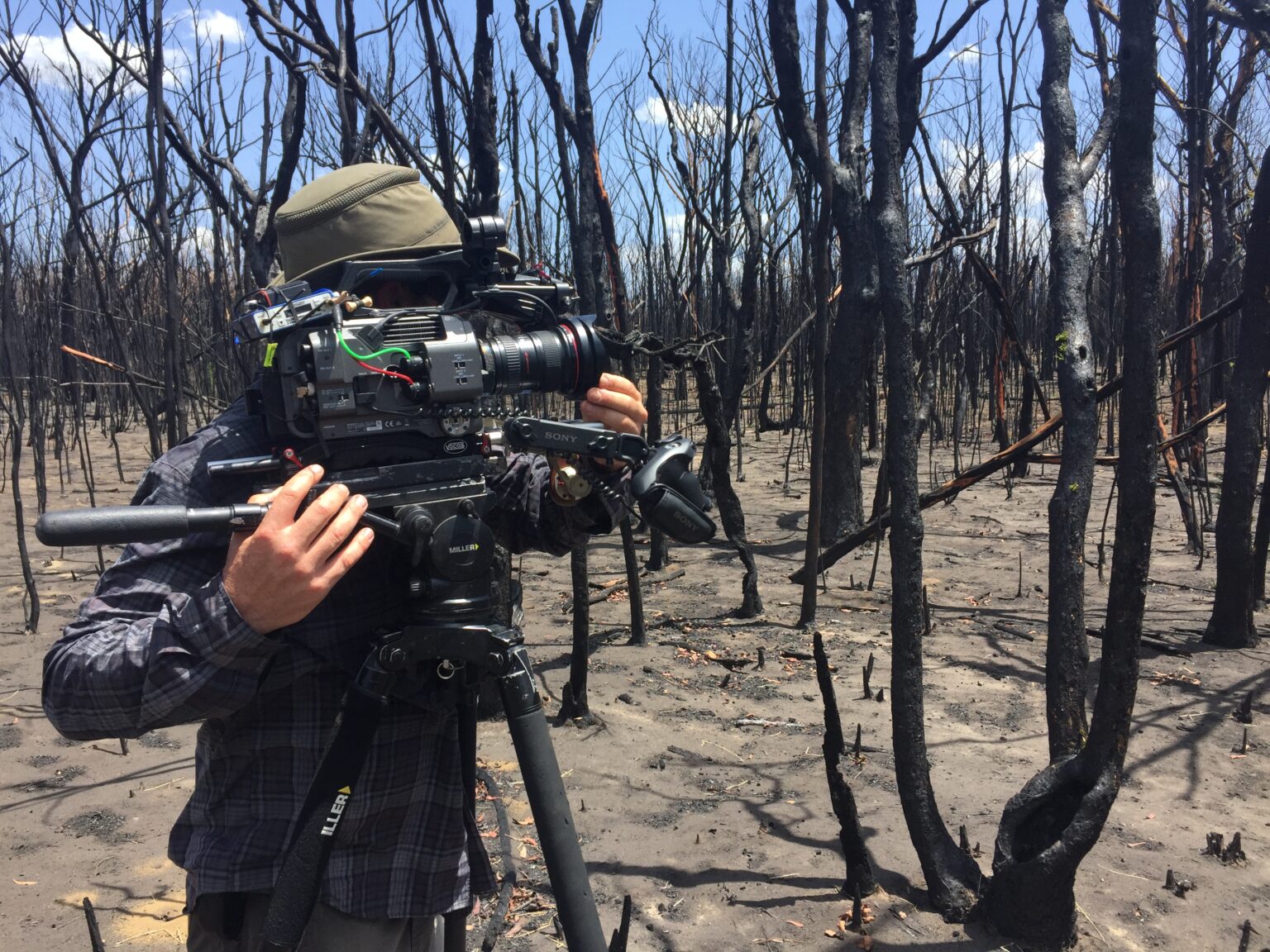 Wild Australia: After The Fires - Australian Geographic