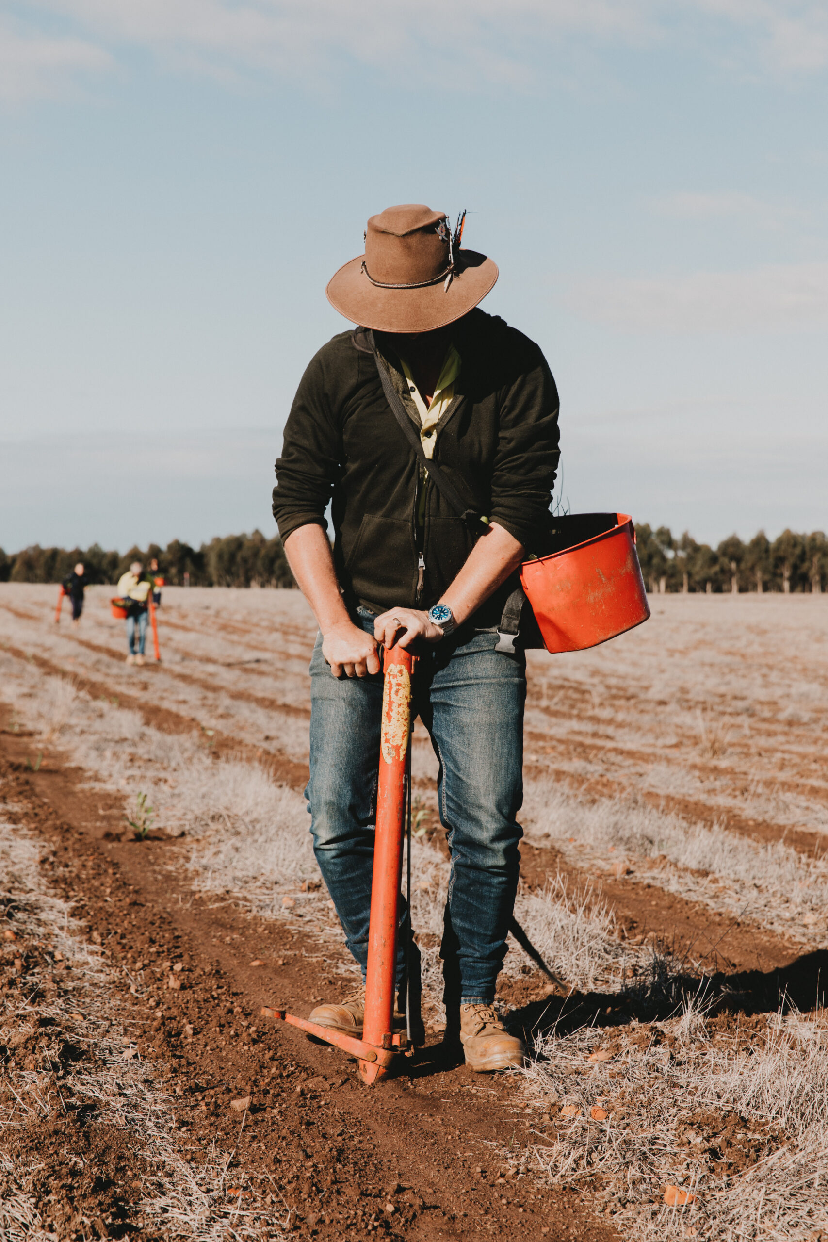 Big bush corridor- Australian Geographic