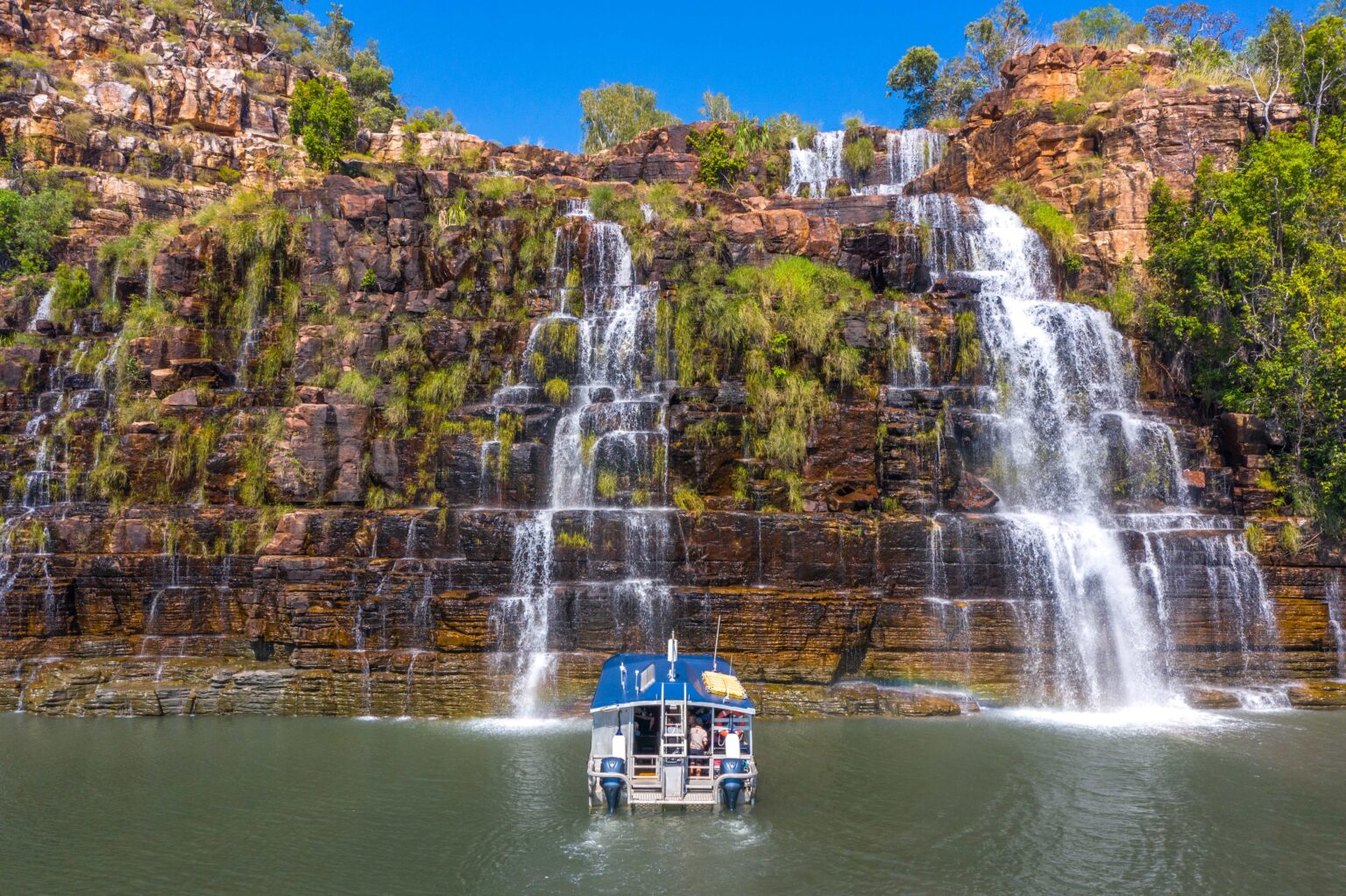 Wildflowers of the Pilbara - Australian Geographic