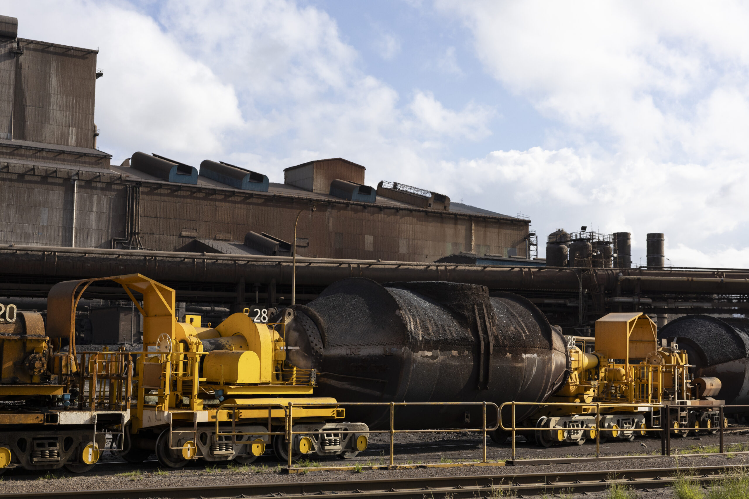 Green is the new black - Australian Geographic