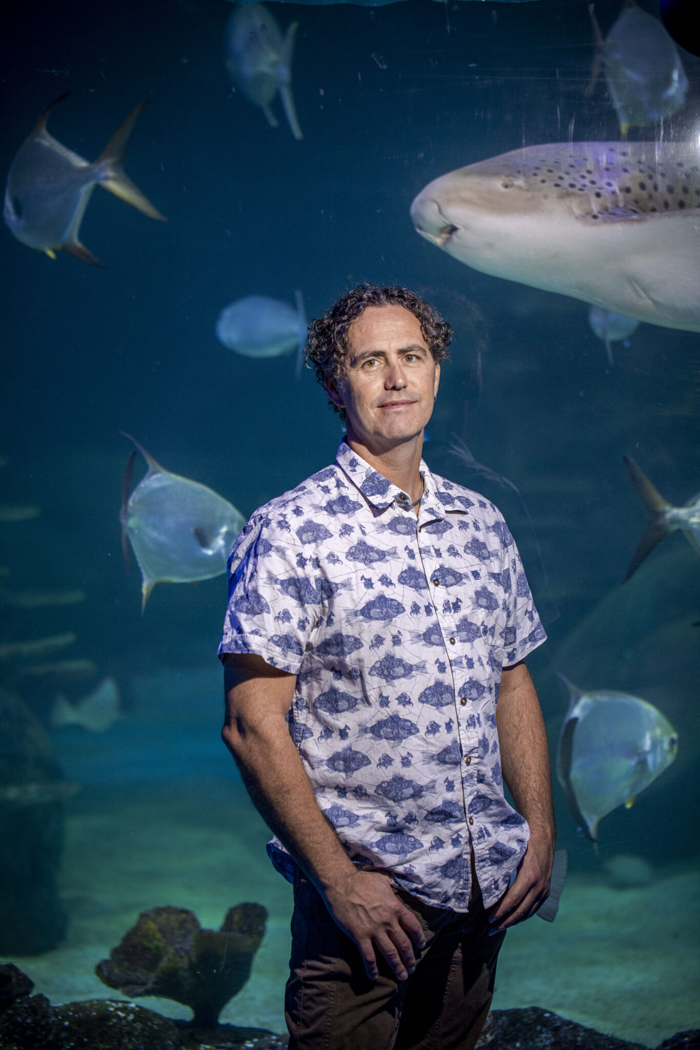 The truth behind fish intelligence