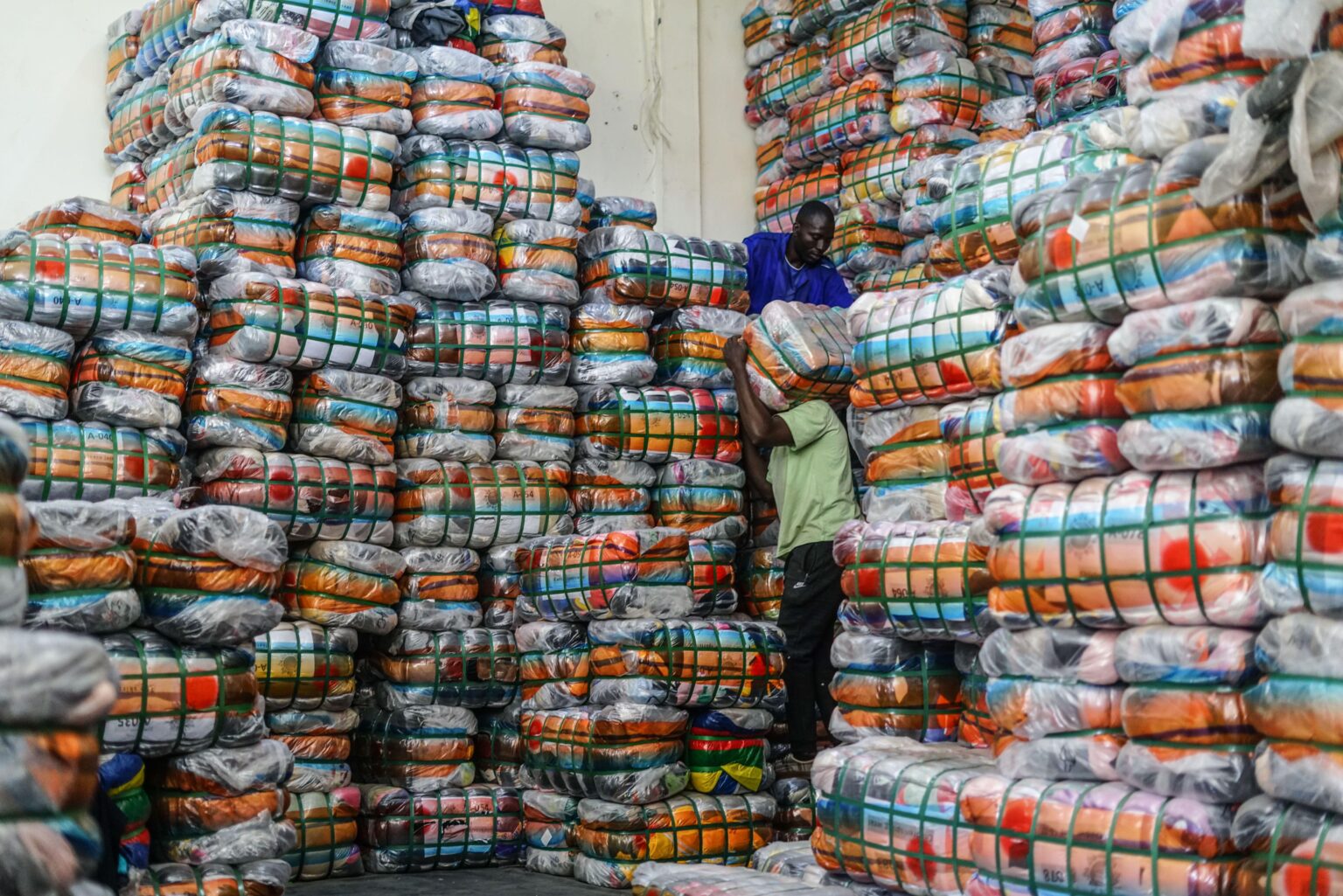 Fact file: Broad-toothed rat (Mastacomys fuscus) - Australian Geographic