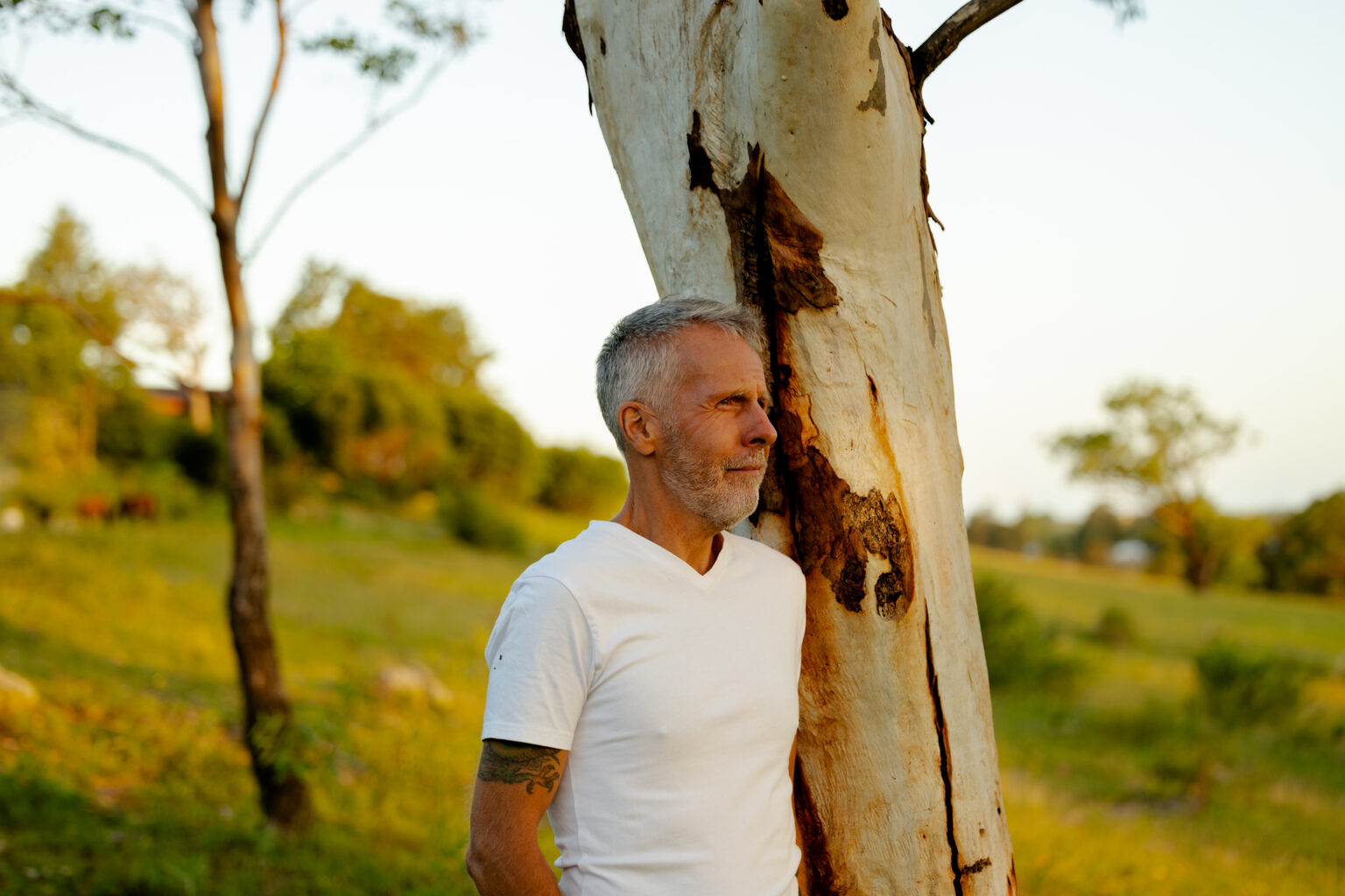 Fact file: Australian brush turkey (Alectura lathami) - Australian ...