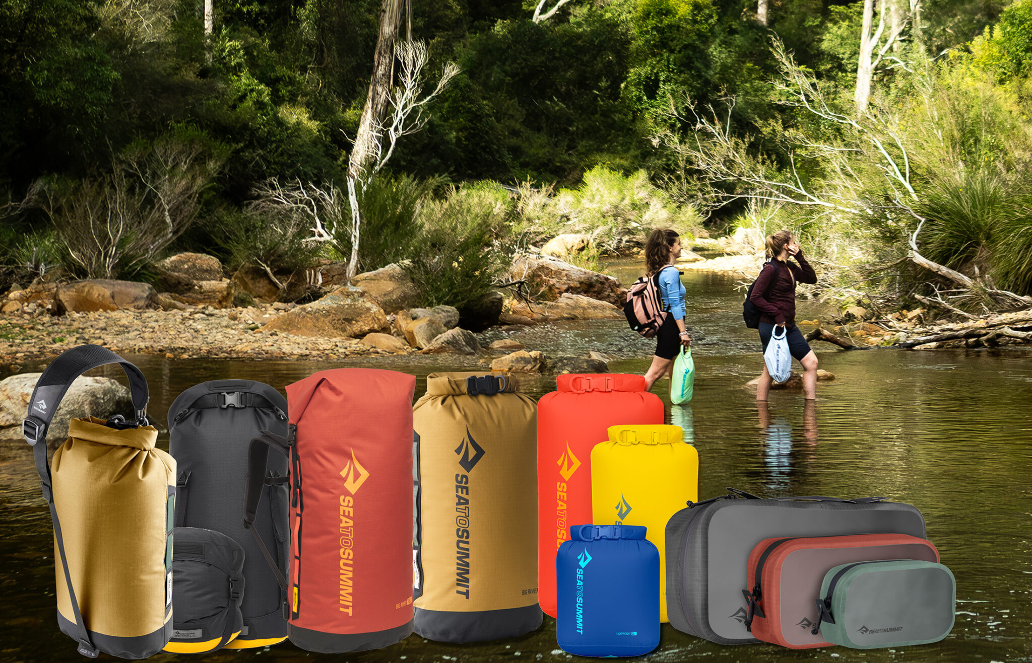 Fact File: Largetooth sawfish (Pristis pristis) - Australian Geographic