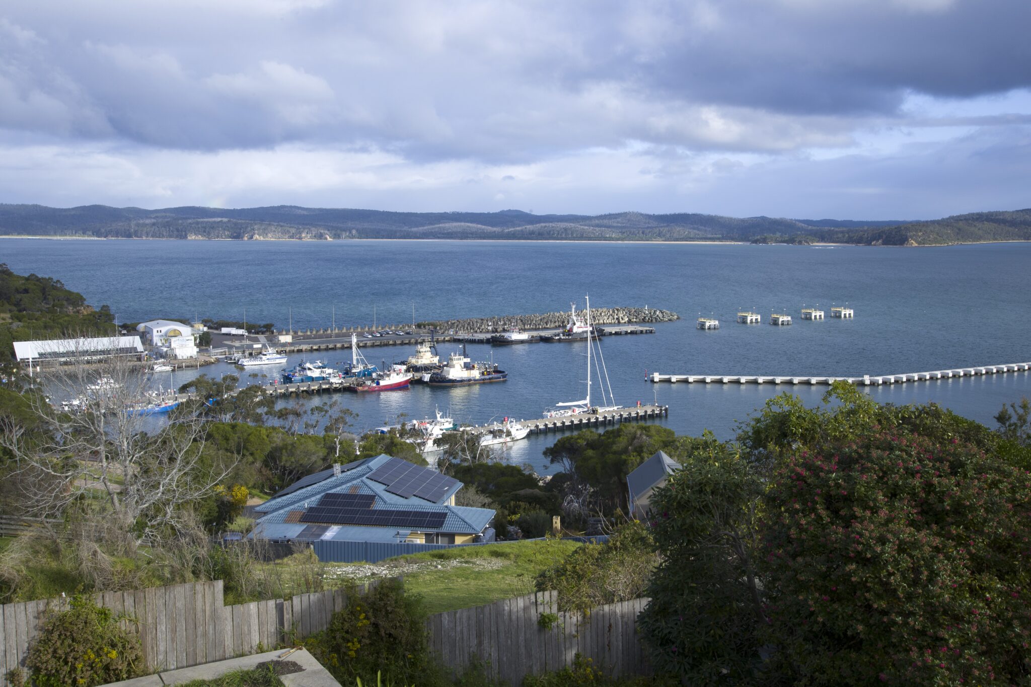 Twofold Bay's deep connection to whales - Australian Geographic