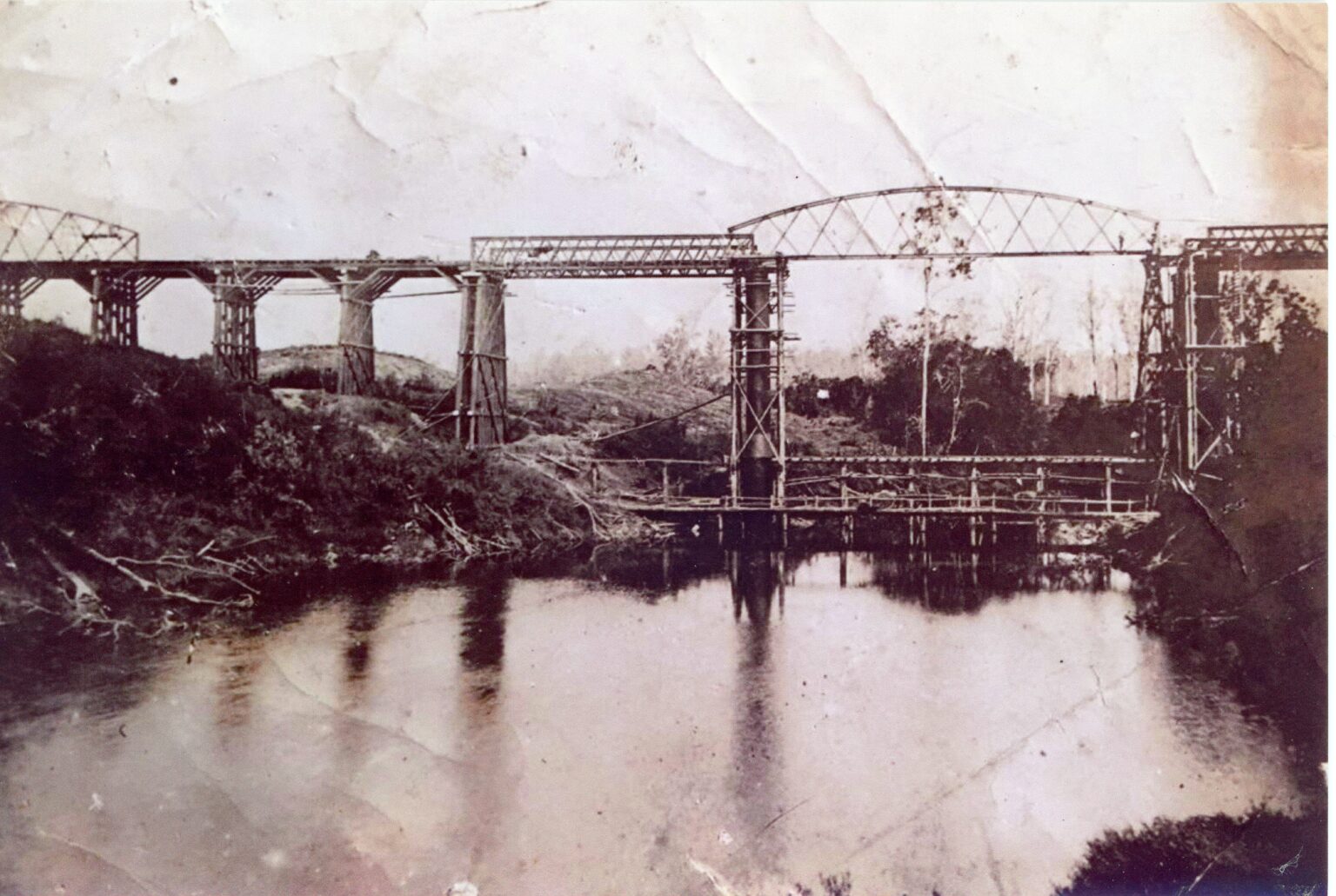 Fact File: Emu (Dromaius novaehollandiae) - Australian Geographic