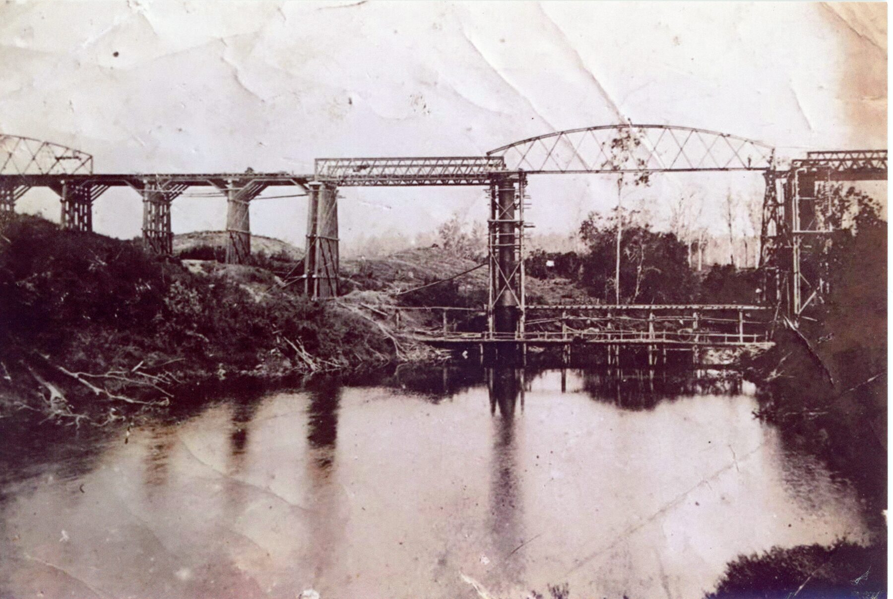 Fact File: Emu (Dromaius novaehollandiae) - Australian Geographic