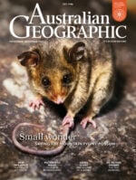 Fact File: Common lionfish (Pterois volitans) - Australian Geographic